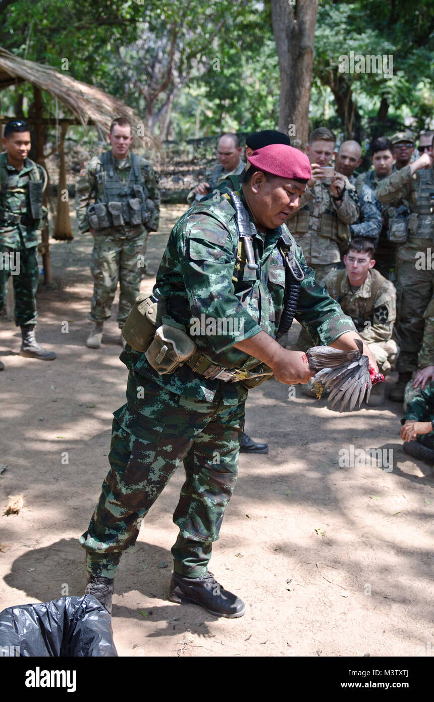 DSC 4226 by 1-2 Stryker Brigade Combat Team Stock Photo - Alamy