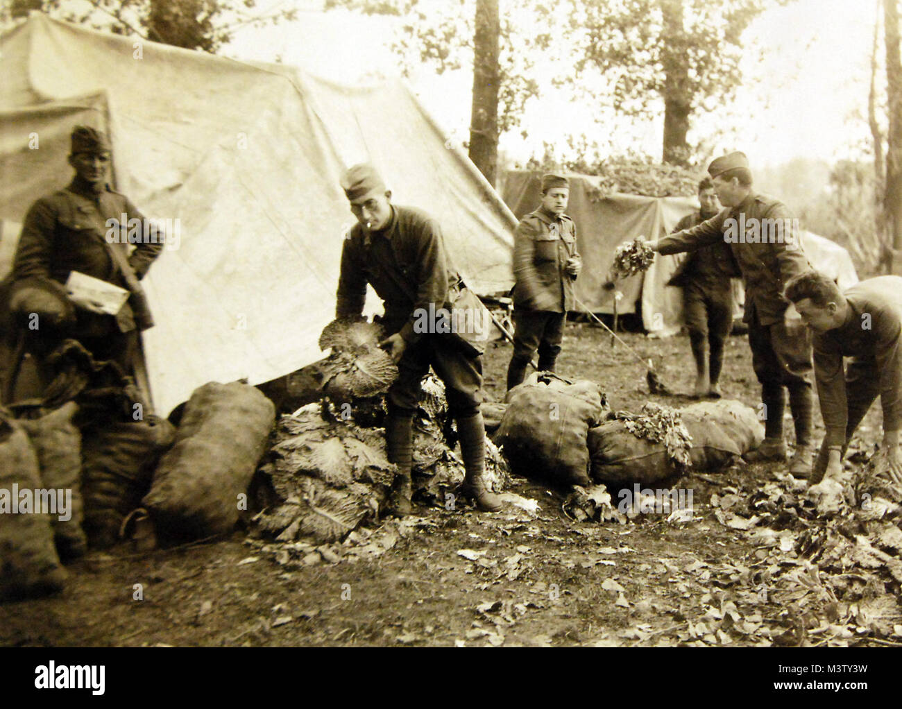 Lot-8327-3 by Photograph Curator Stock Photo - Alamy