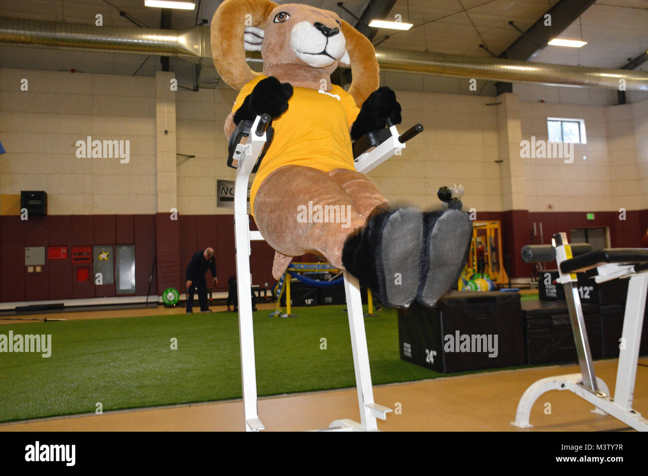 Noffs hi-res stock photography and images - Alamy