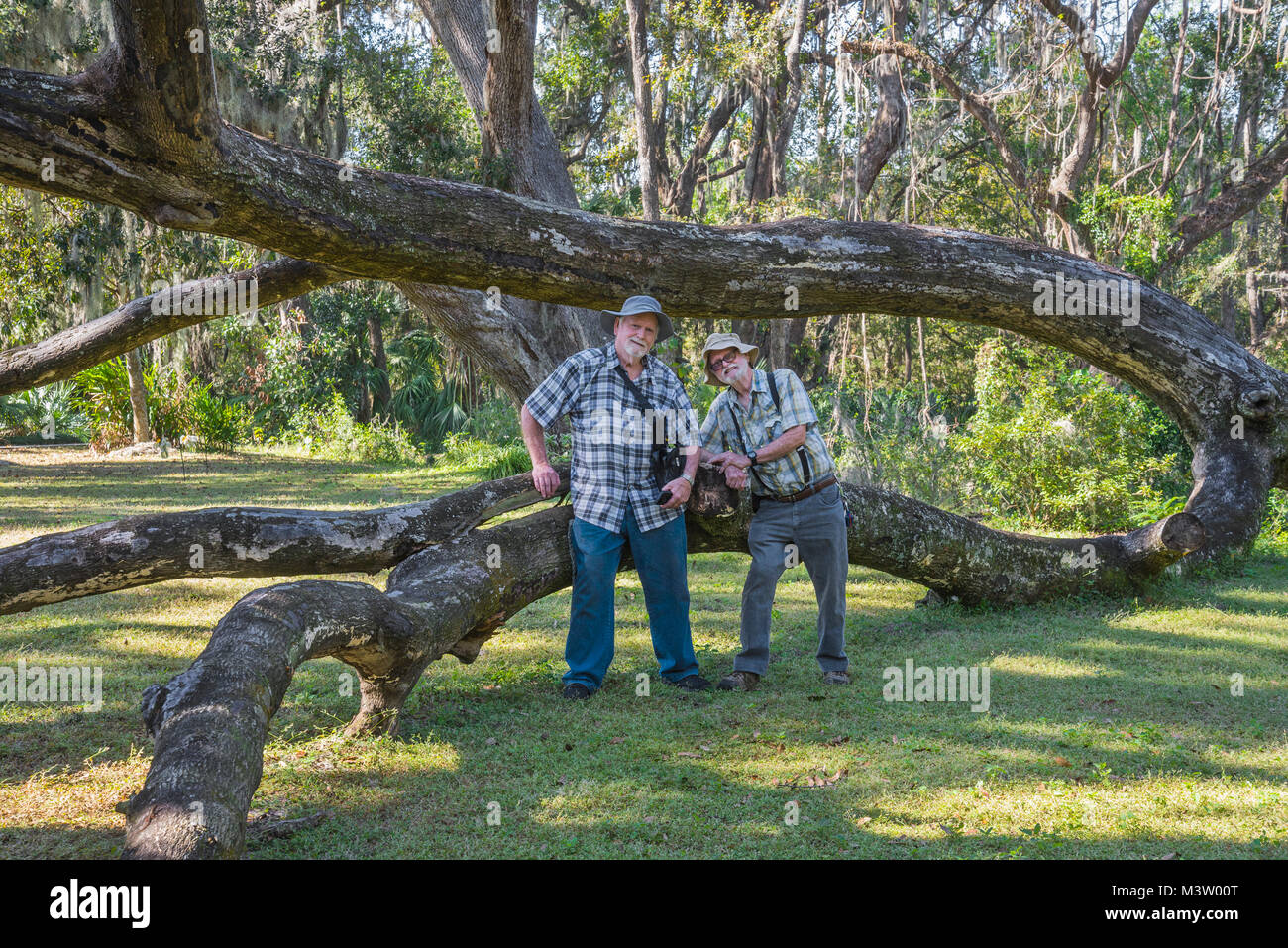 Nature scenes in a North Florida garden setting Stock Photo - Alamy