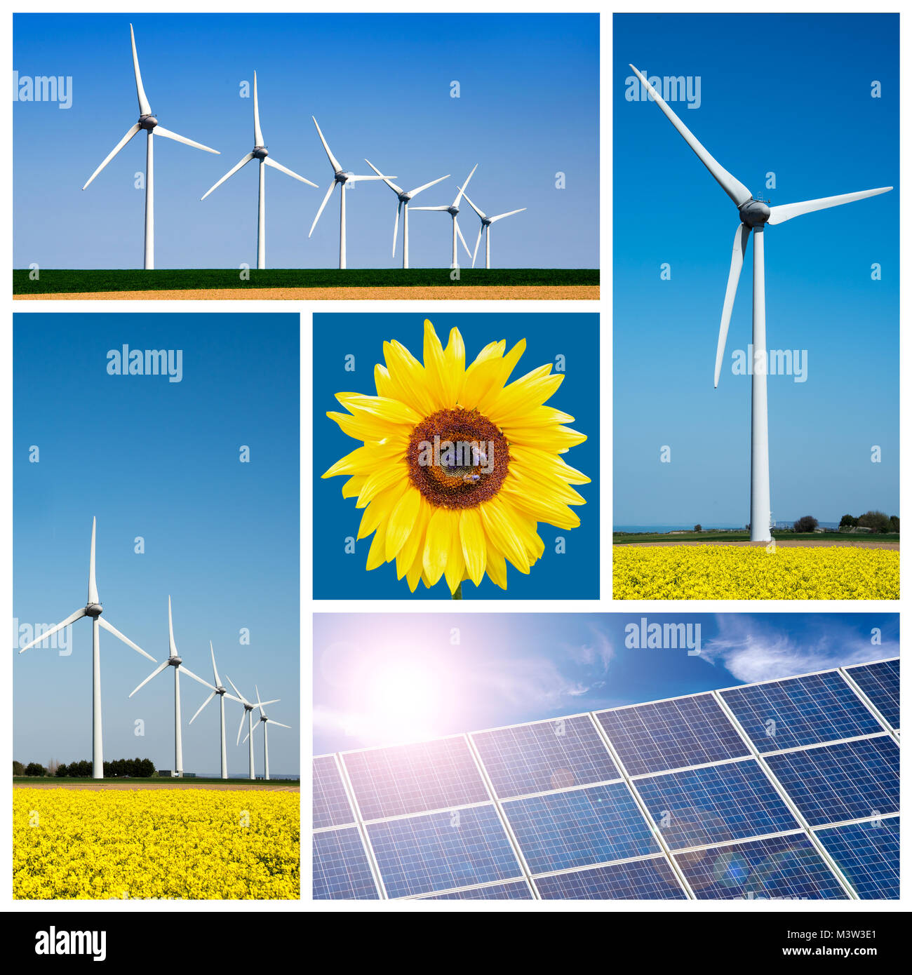 Sunflower, blue solar cells and wind turbine, environment and climage ...