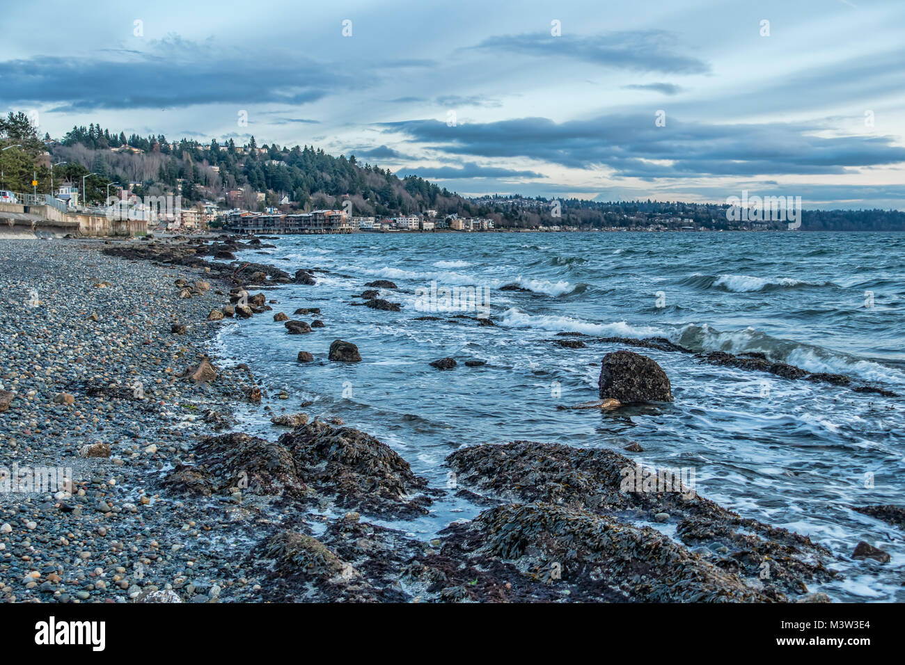 A view of the shoreline at low tide in West Seattle, Washington. It is ...