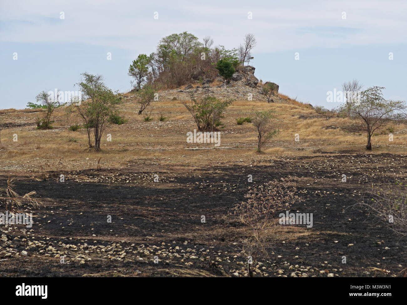 Burnt area hi-res stock photography and images - Alamy
