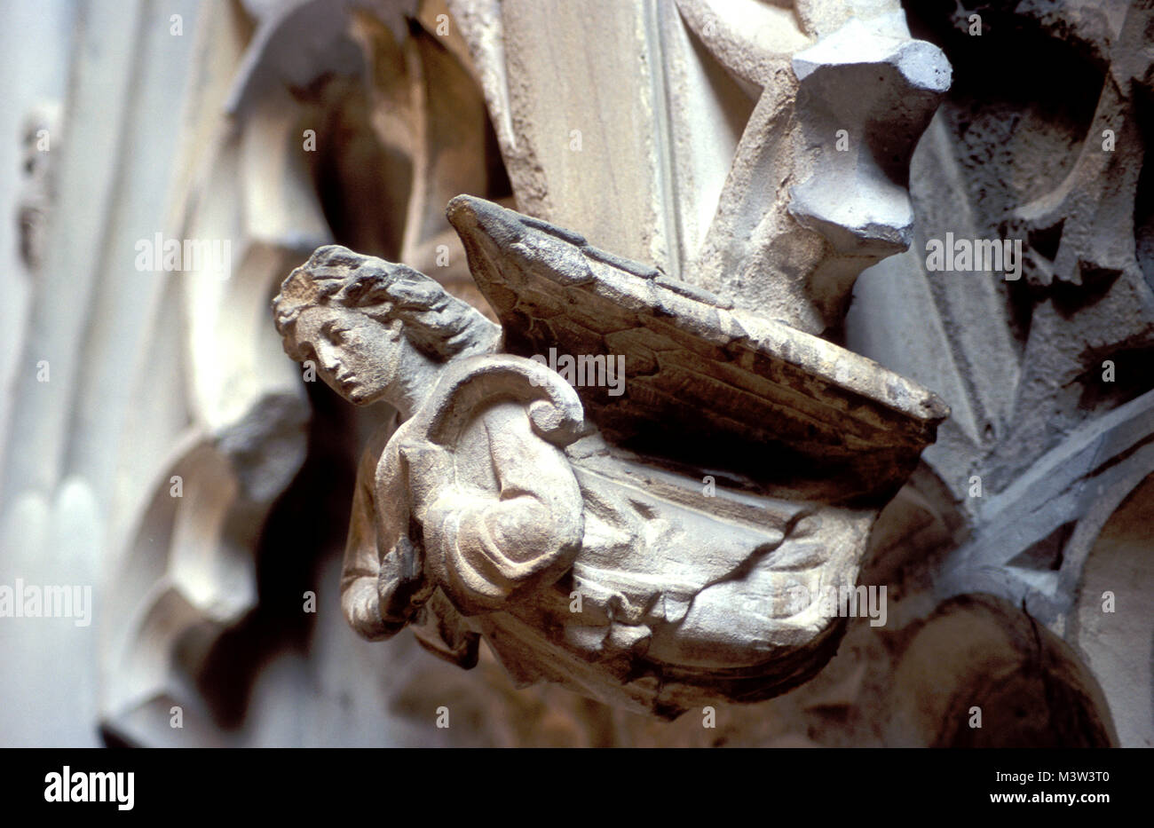 Trefnant hi-res stock photography and images - Alamy