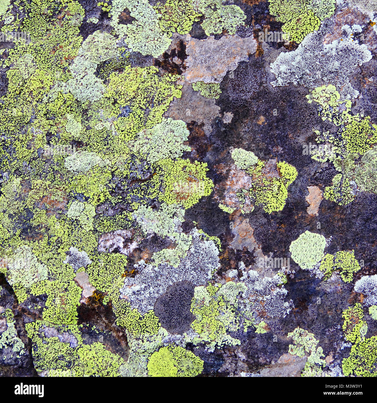 Image of texture with colorful mineral Stock Photo - Alamy