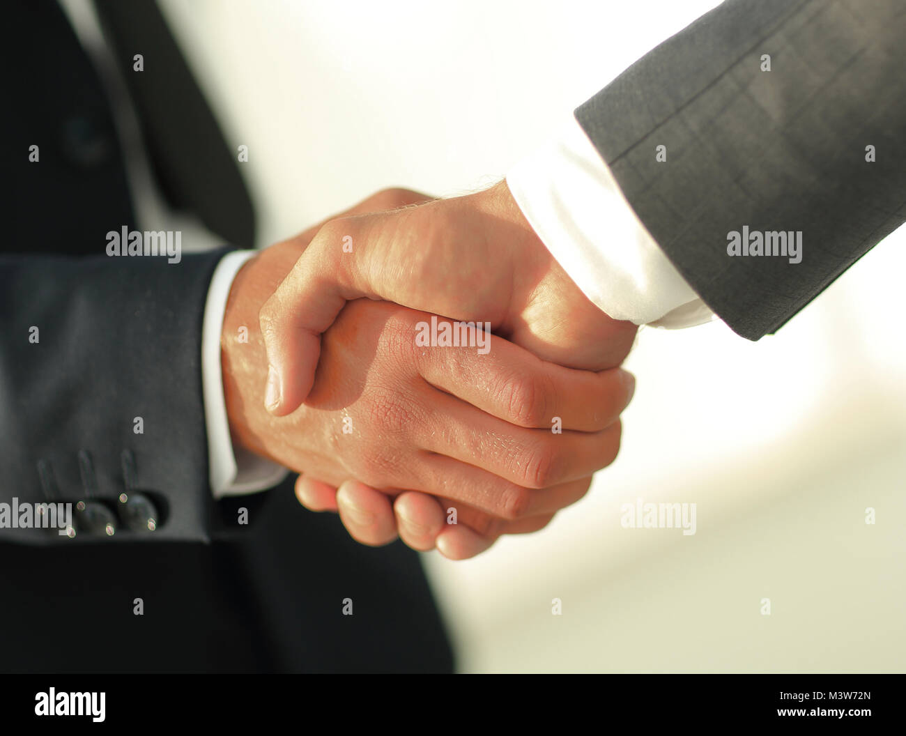 Business men giving a handshake. Business concept Stock Photo - Alamy