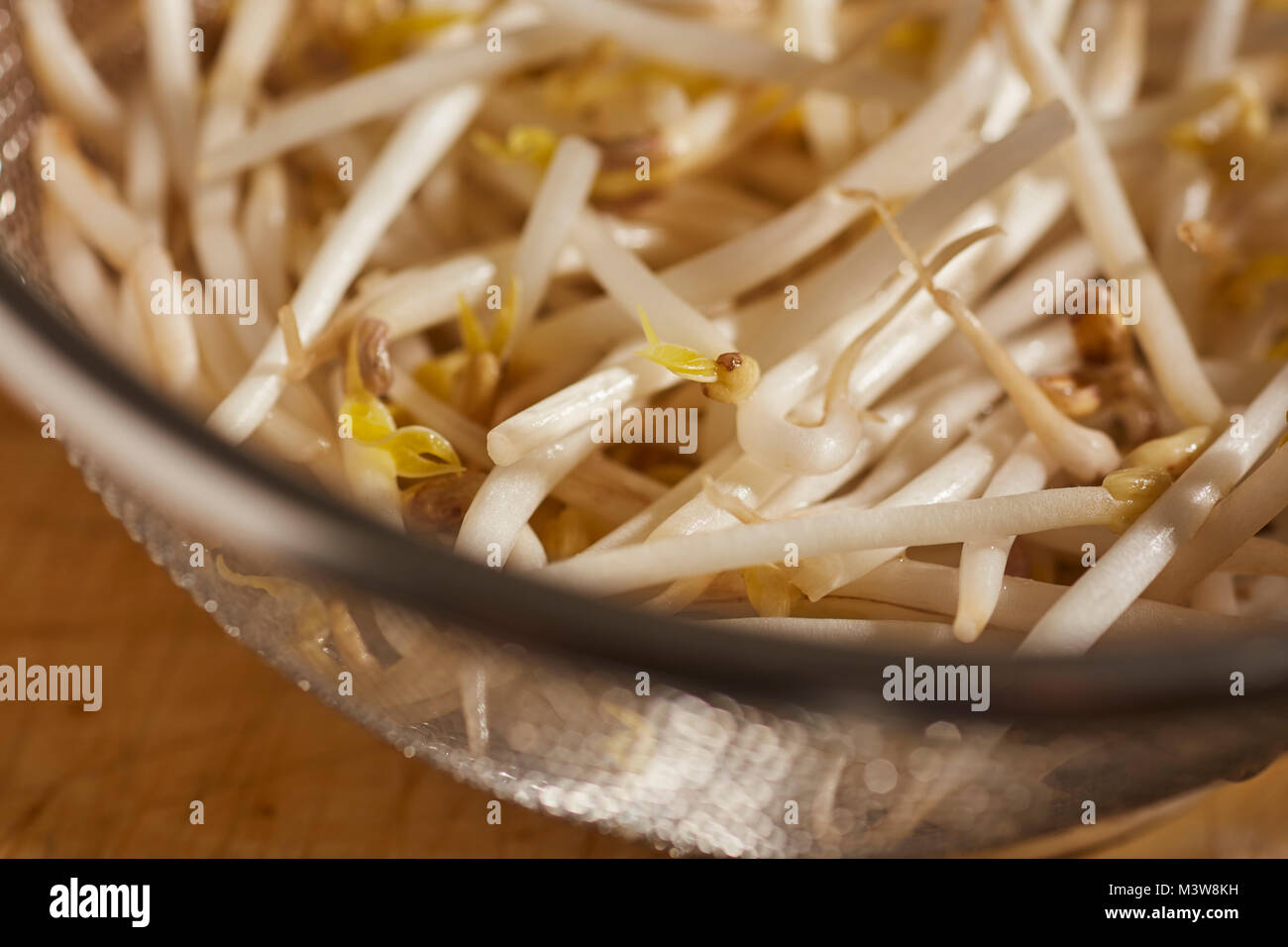 some fresh, raw mung bean sprouts, ready for cooking Stock Photo - Alamy some fresh, raw mung bean sprouts, ready for cooking Stock Photo - Alamy