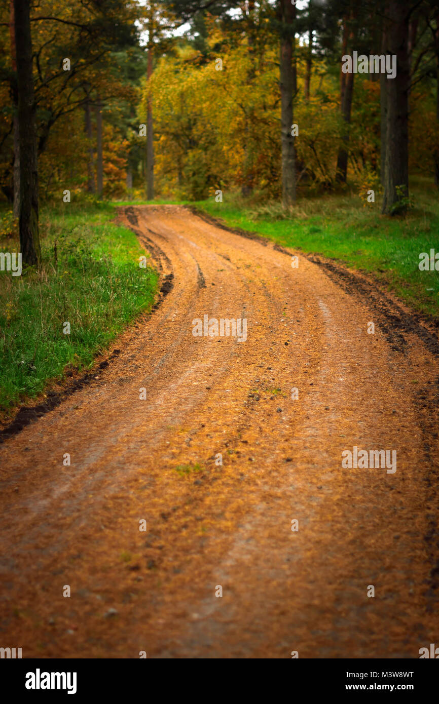 Pathway at Swedish countryside Stock Photo - Alamy