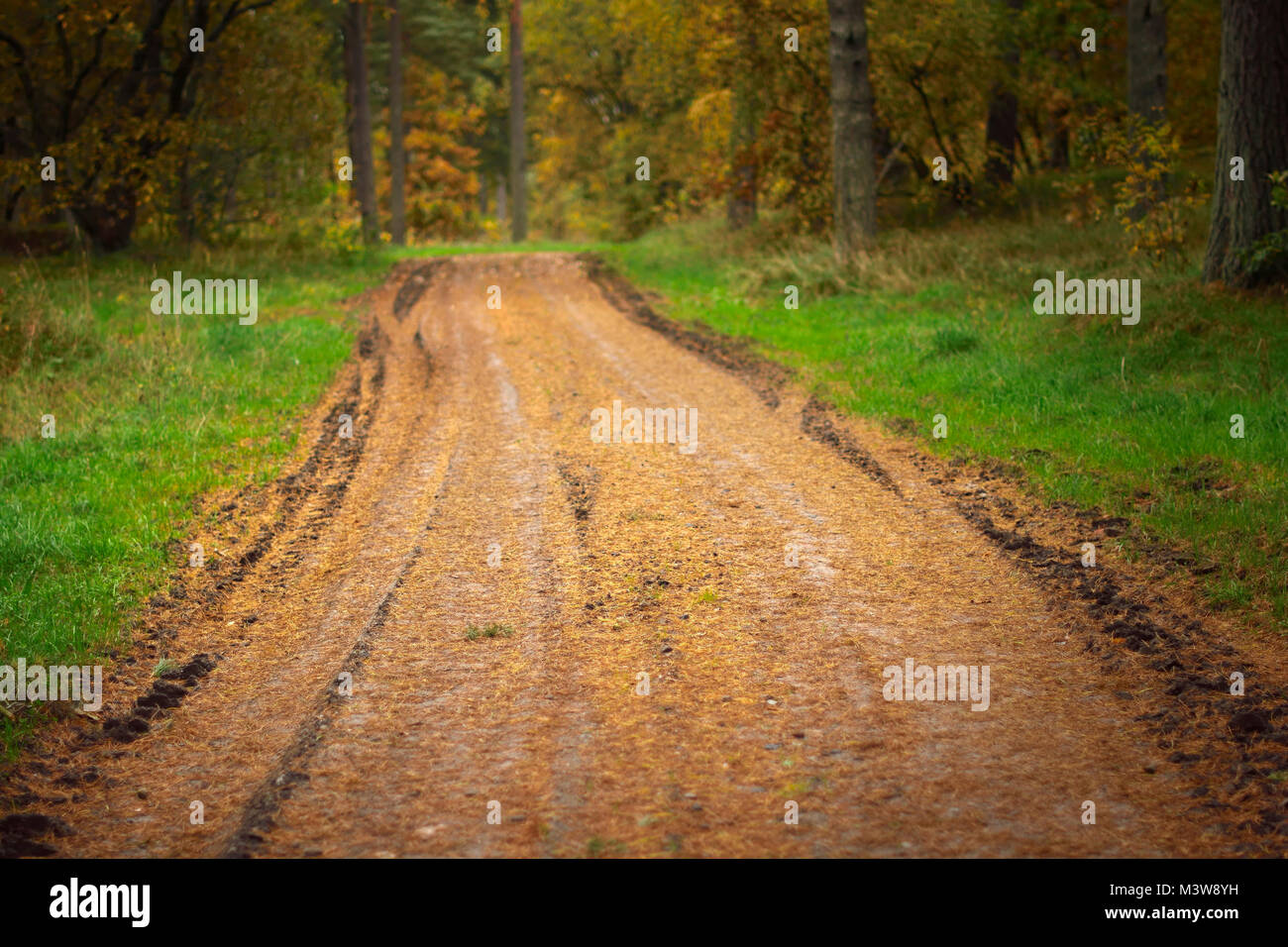 Pathway at Swedish countryside Stock Photo - Alamy