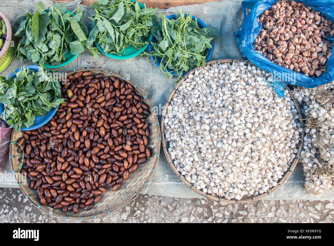 Offering fresh food on the Laos market. Sale of worms, garlic, herbs on ...