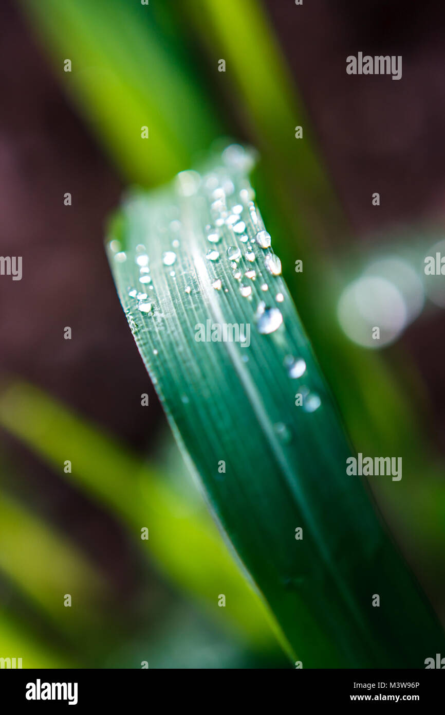 Droplet trail hi-res stock photography and images - Alamy