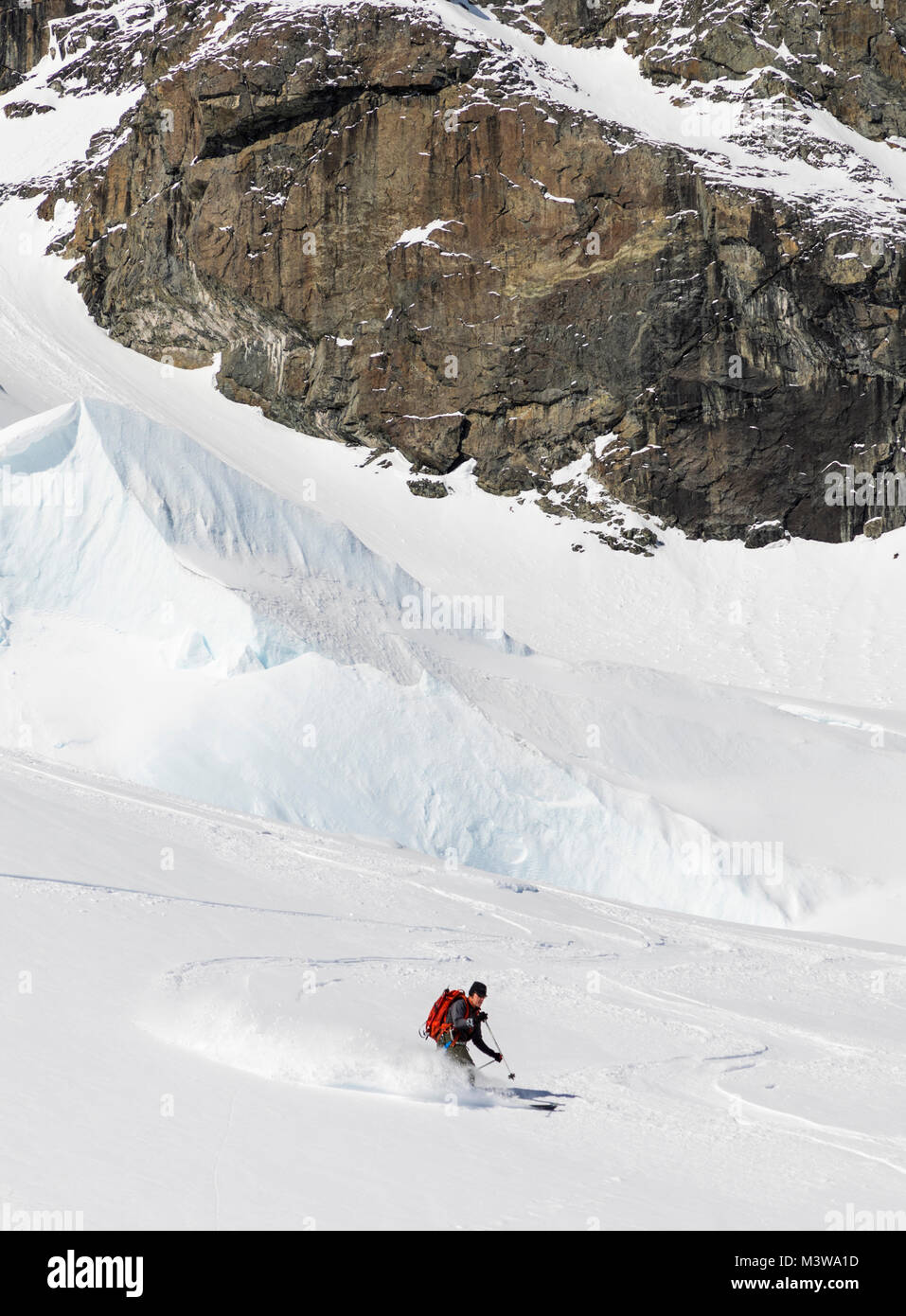 Alpine telemark ski mountaineer skiing downhill in Antarctica; Rongé ...