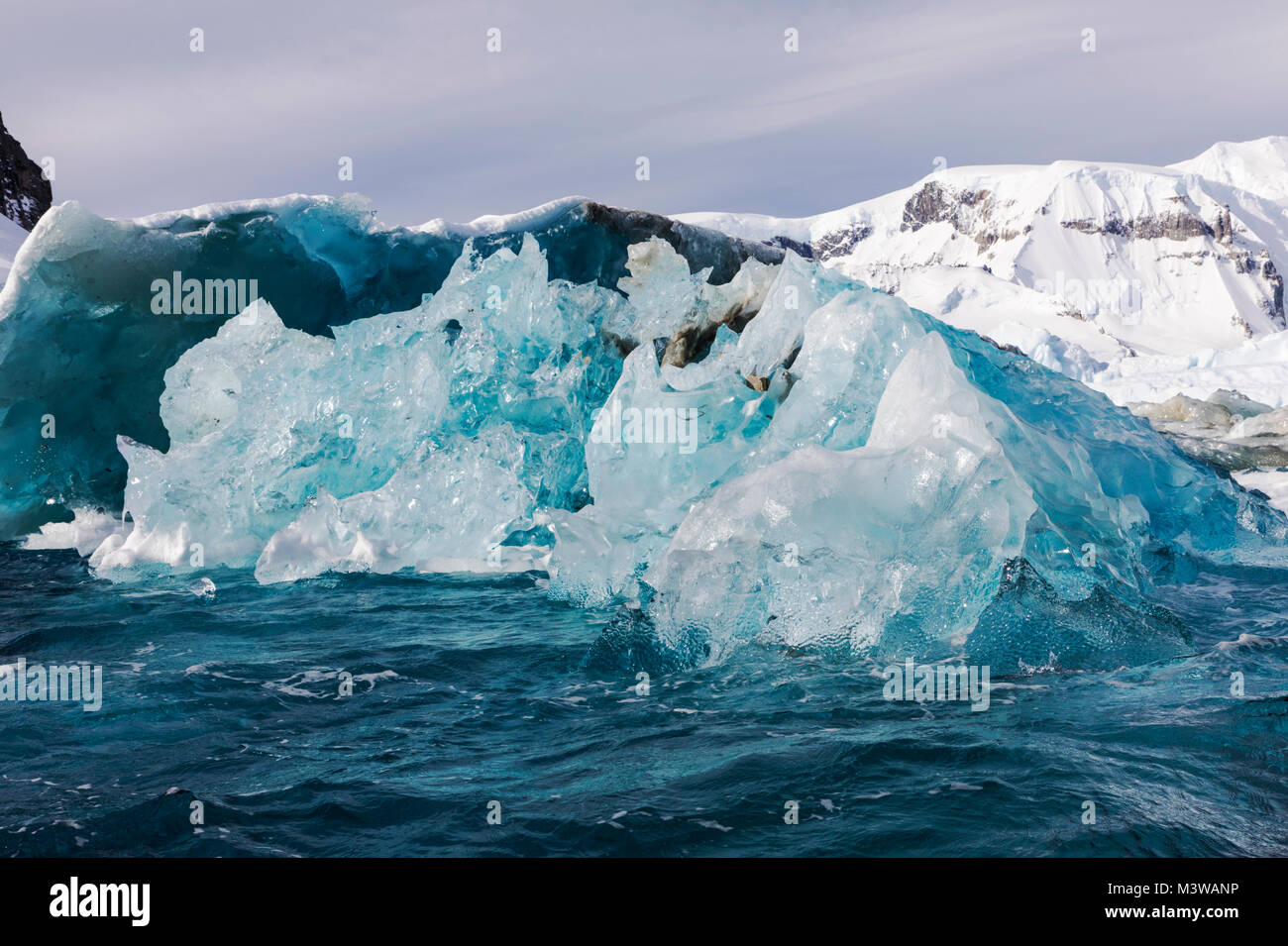Sea ice; icebergs & snow & ice covered Antarctica landscape; Rongé ...