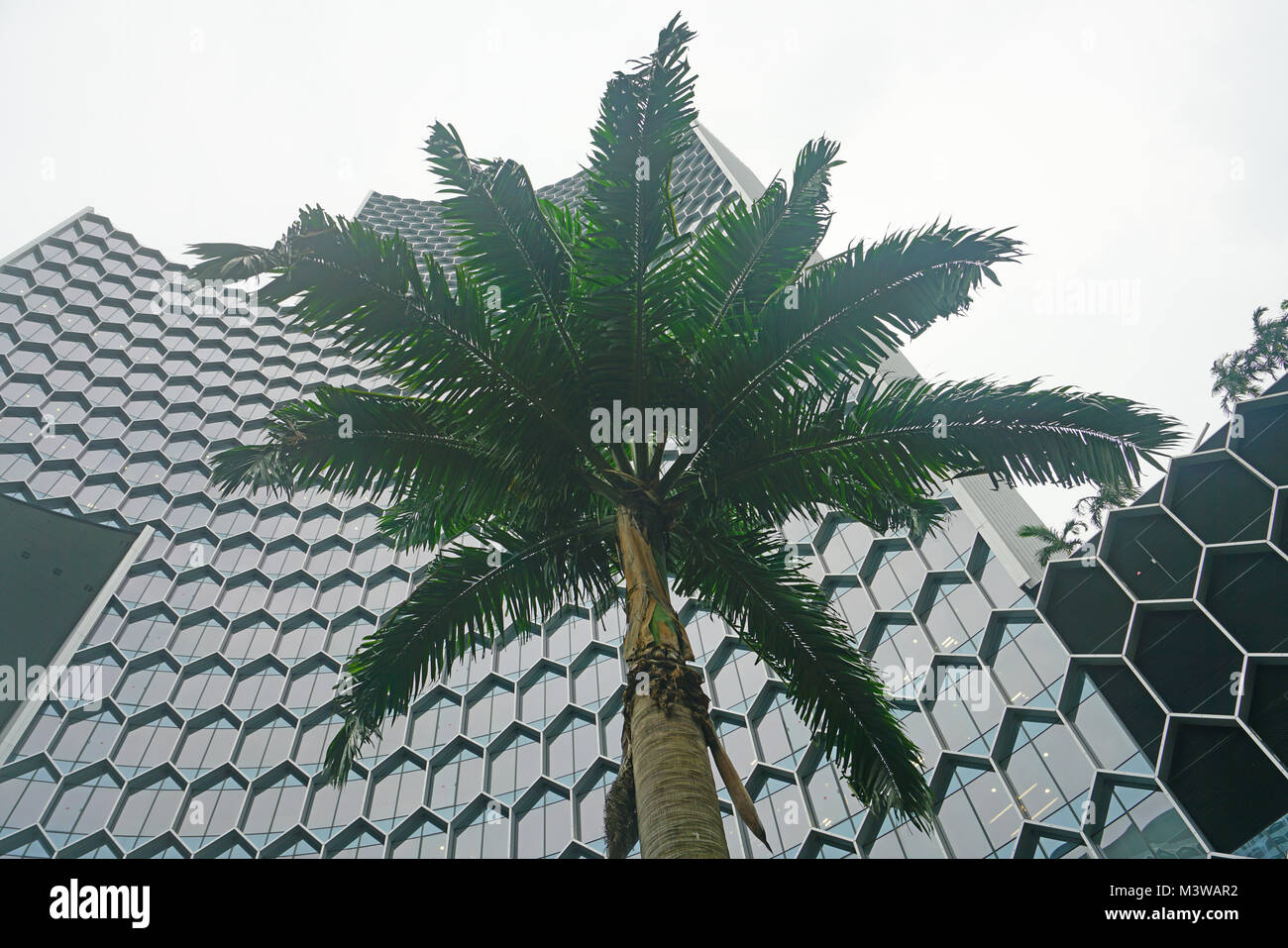 View of the DUO galleria, a new building complex in the Bras Basah ...