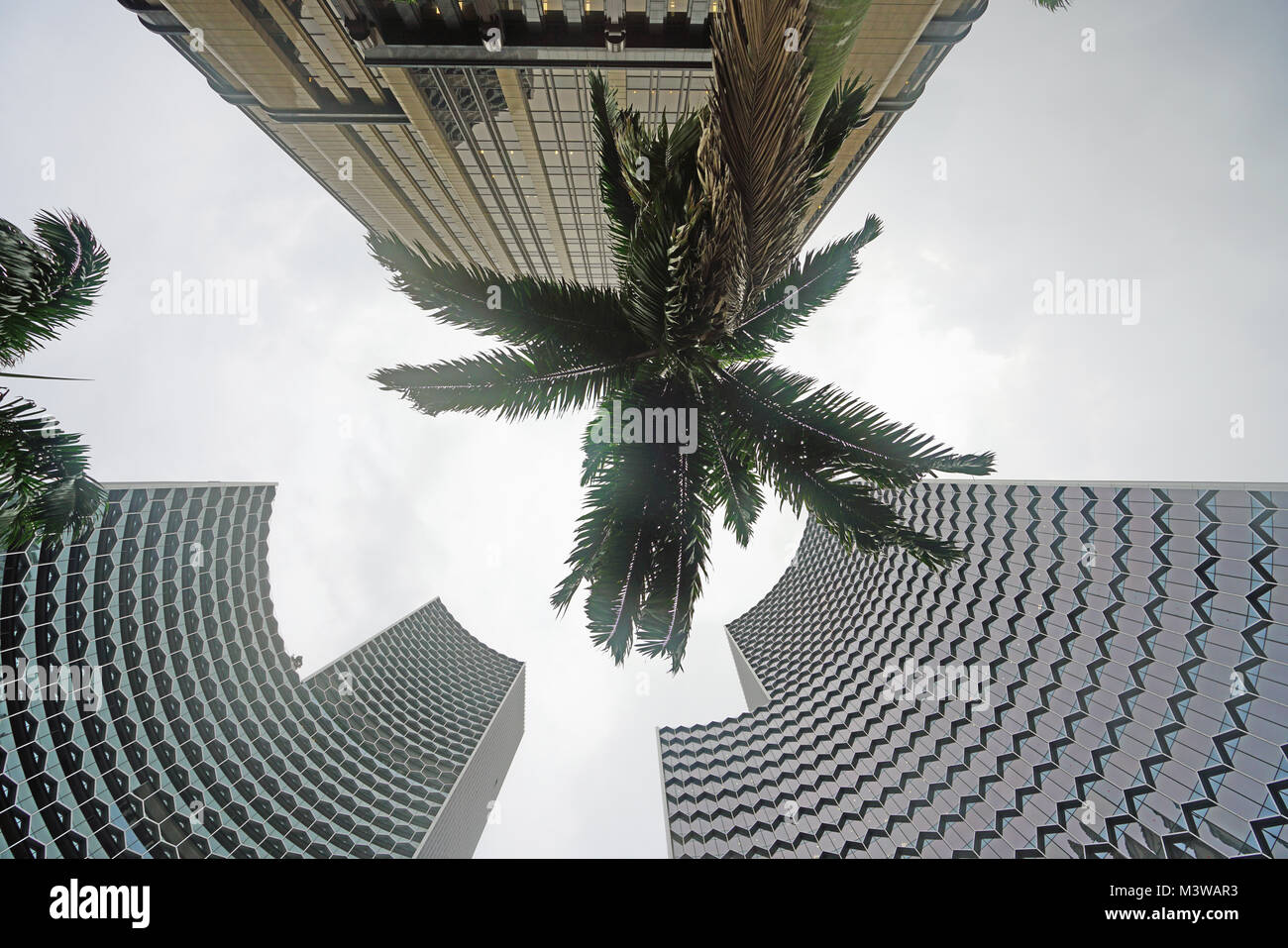View of the DUO galleria, a new building complex in the Bras Basah ...