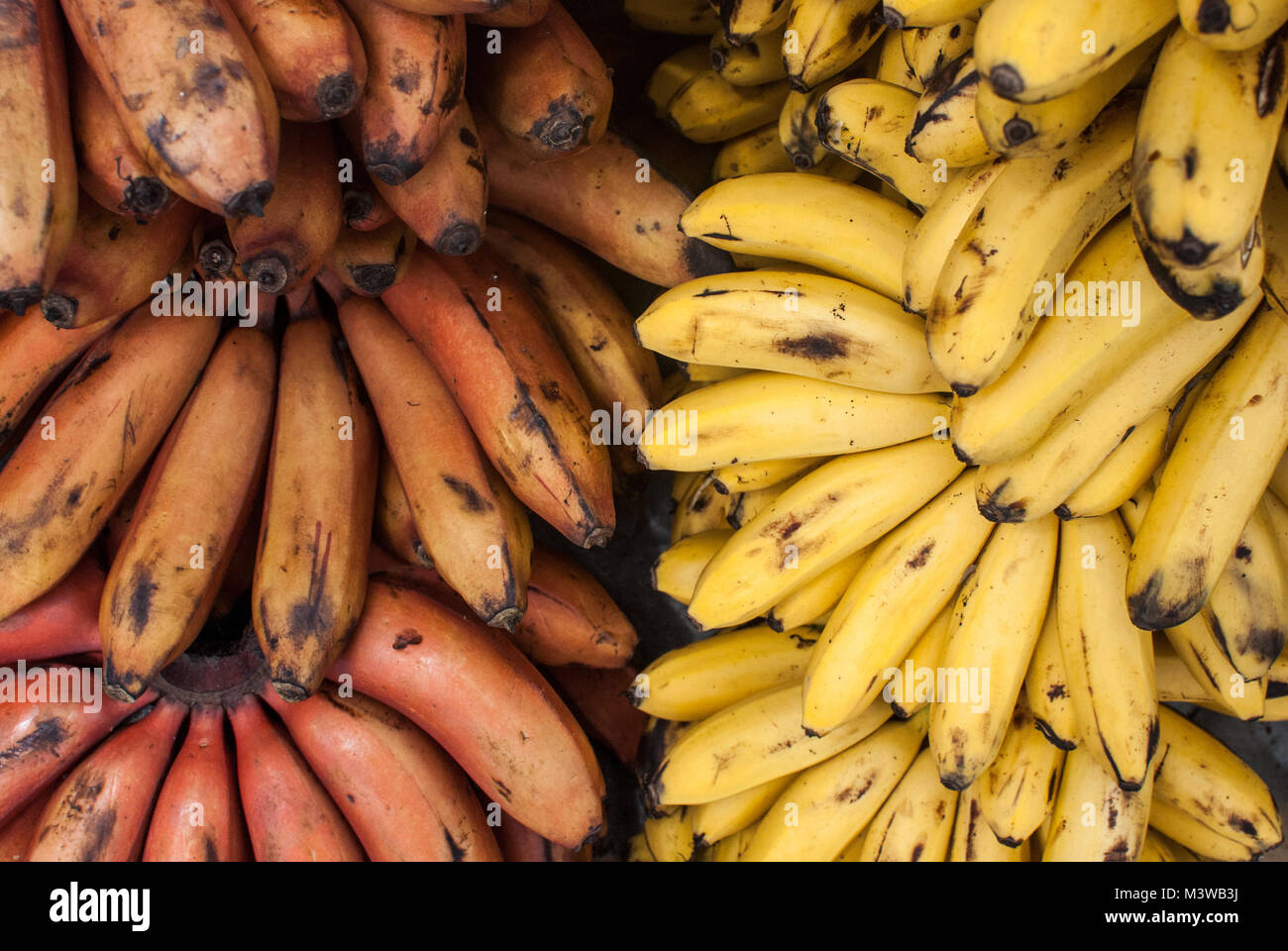 A bunch of plantains hi-res stock photography and images - Alamy