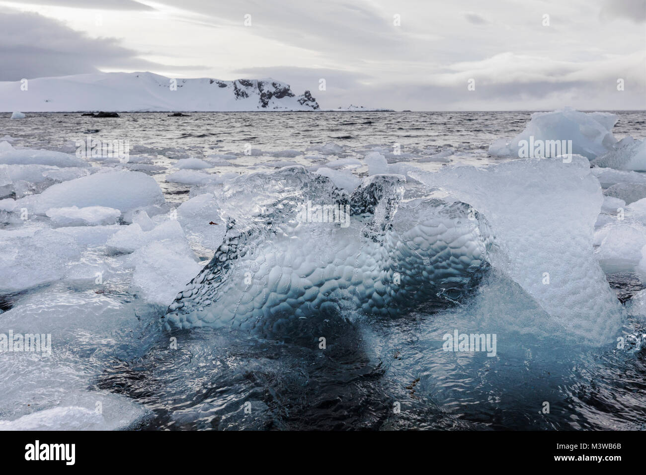 Sculpted sea ice floating in Half Moon Island; Antarctica Stock Photo ...