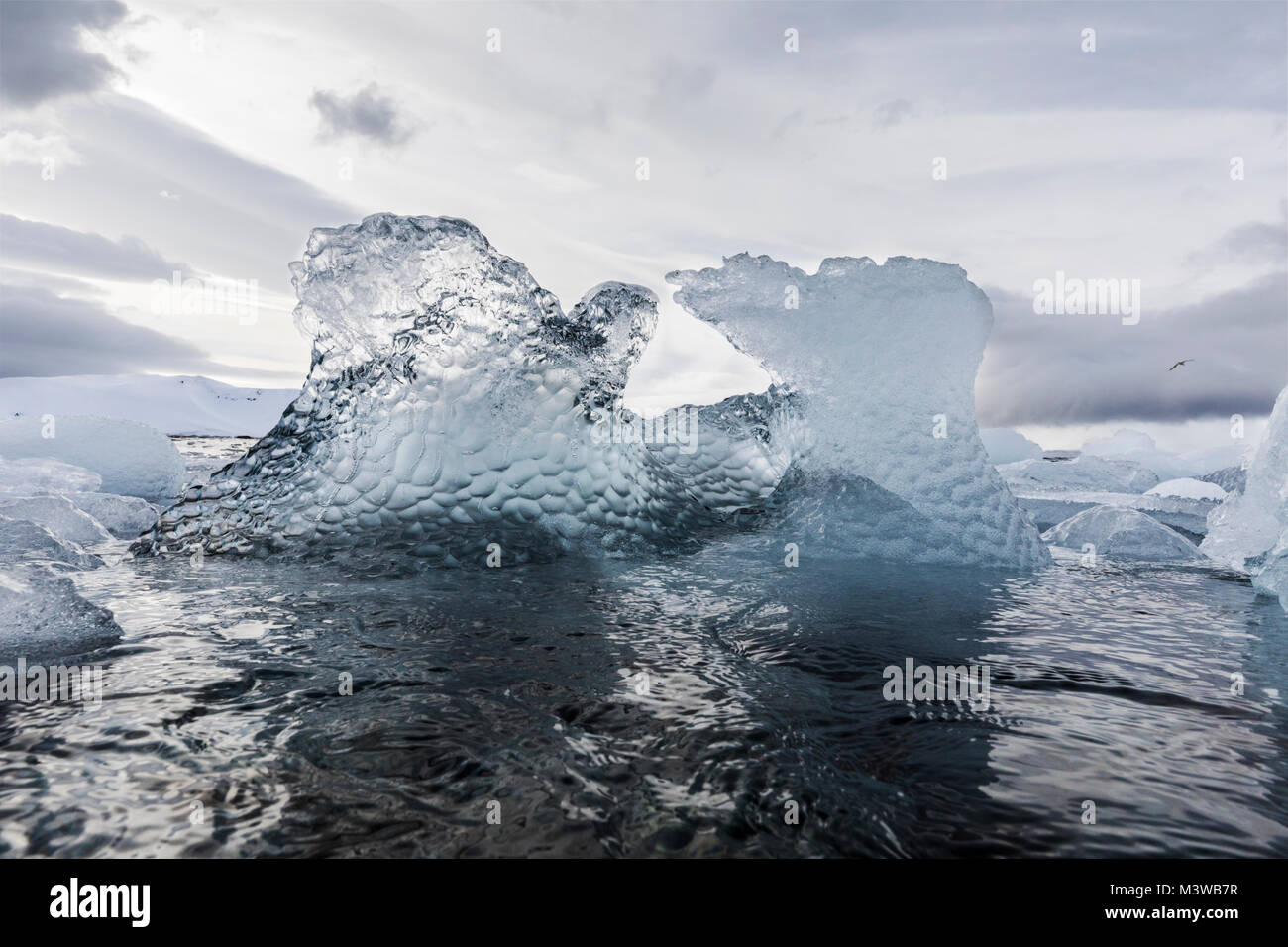 Sculpted sea ice floating in Half Moon Island; Antarctica Stock Photo ...