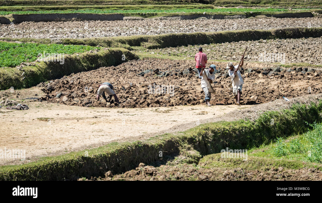 Hand digging hi-res stock photography and images - Alamy