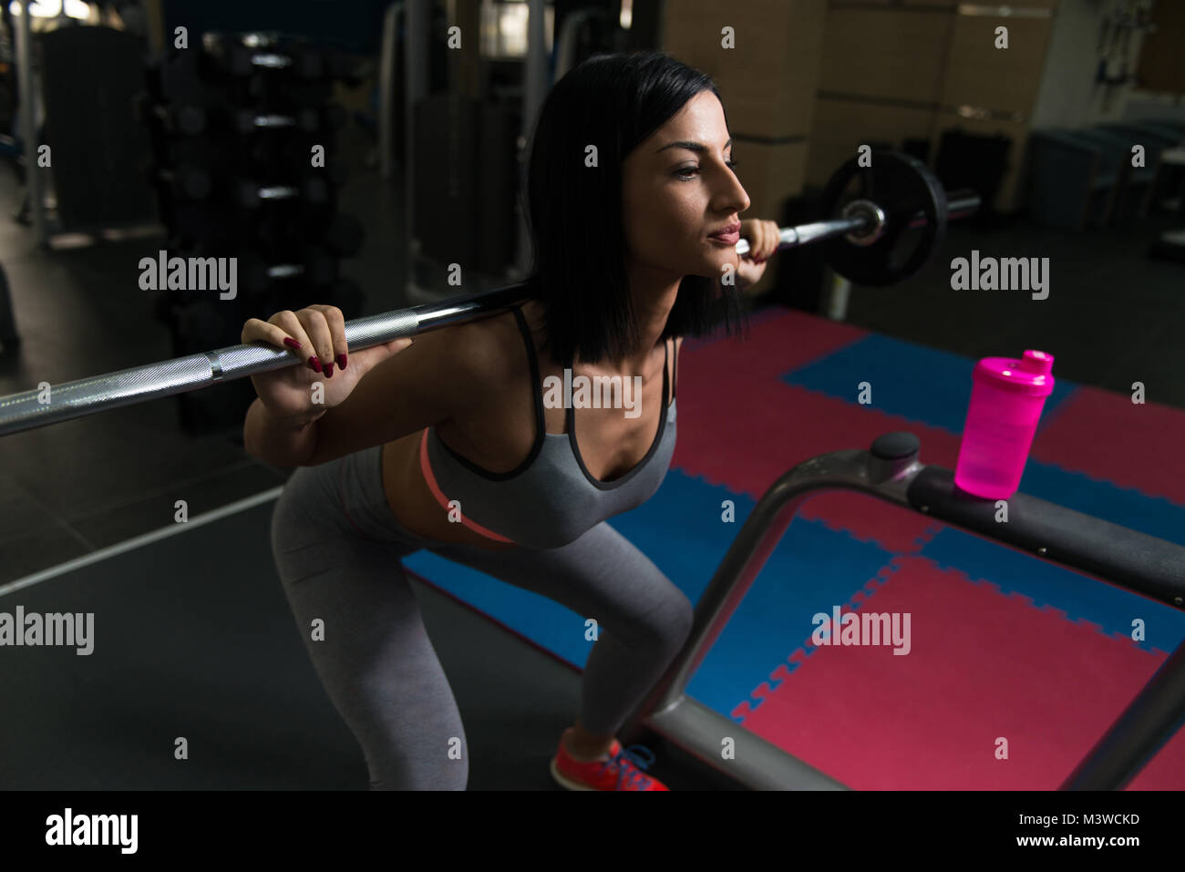 Young Woman Working Out Legs With Barbell In A Gym - Squat Exercise ...