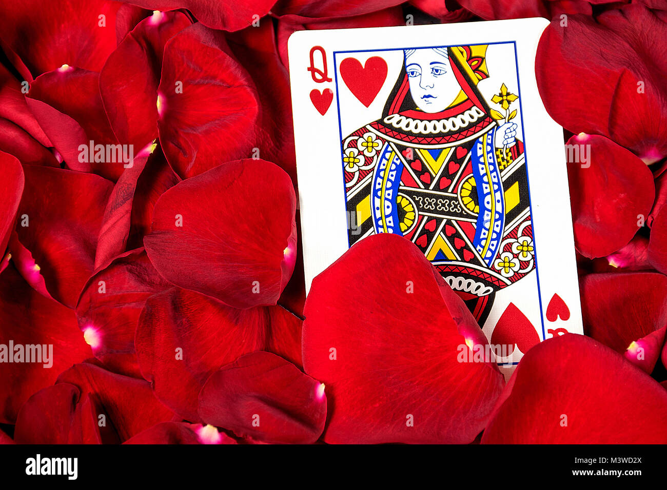 close up of queen of hearts card in red rose petals Stock Photo - Alamy