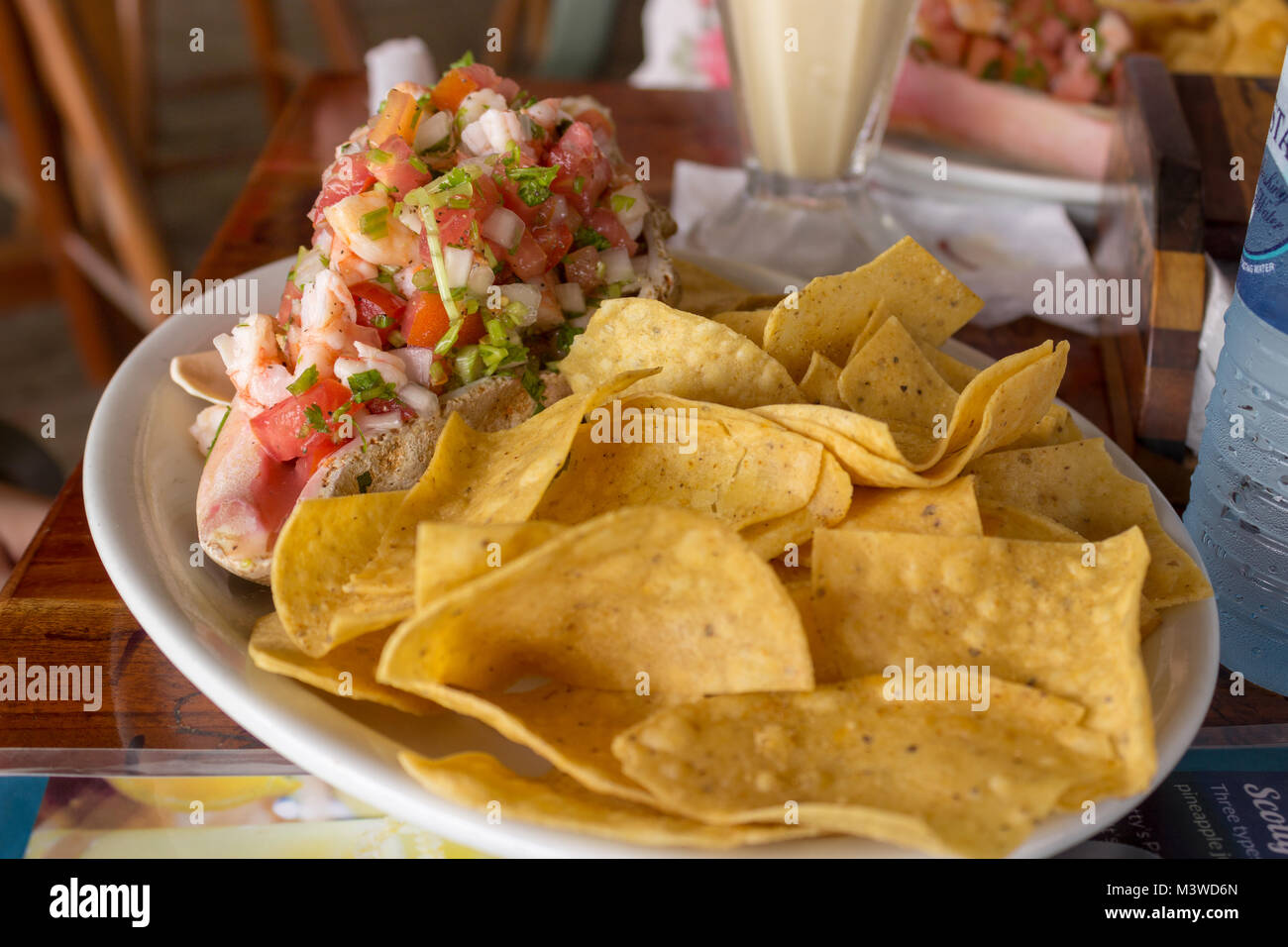 Fresh shrimp ceviche in a conch shell bowl nestled in a bed of corn ...