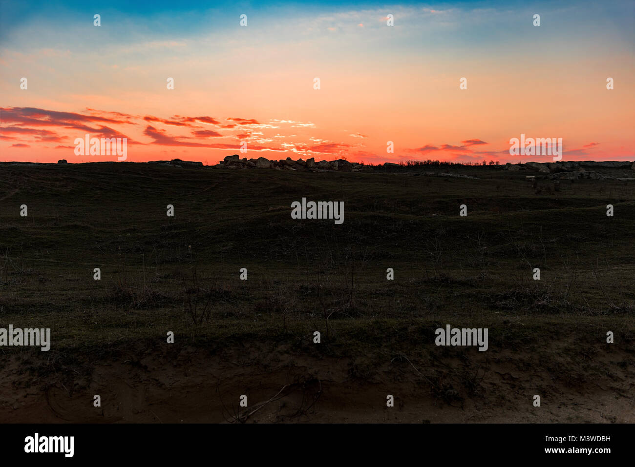Sunny sunset in the savannah Stock Photo - Alamy
