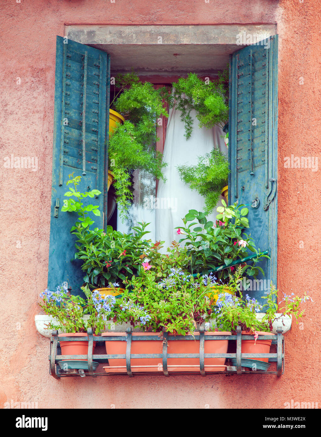 Old window with flowers hi-res stock photography and images - Alamy