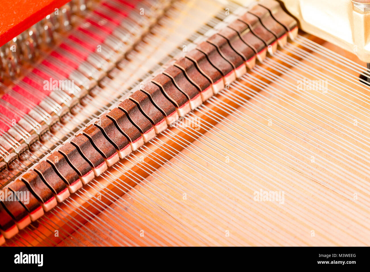 Strings, mallets, dampeners and sound board inside grand piano Stock ...