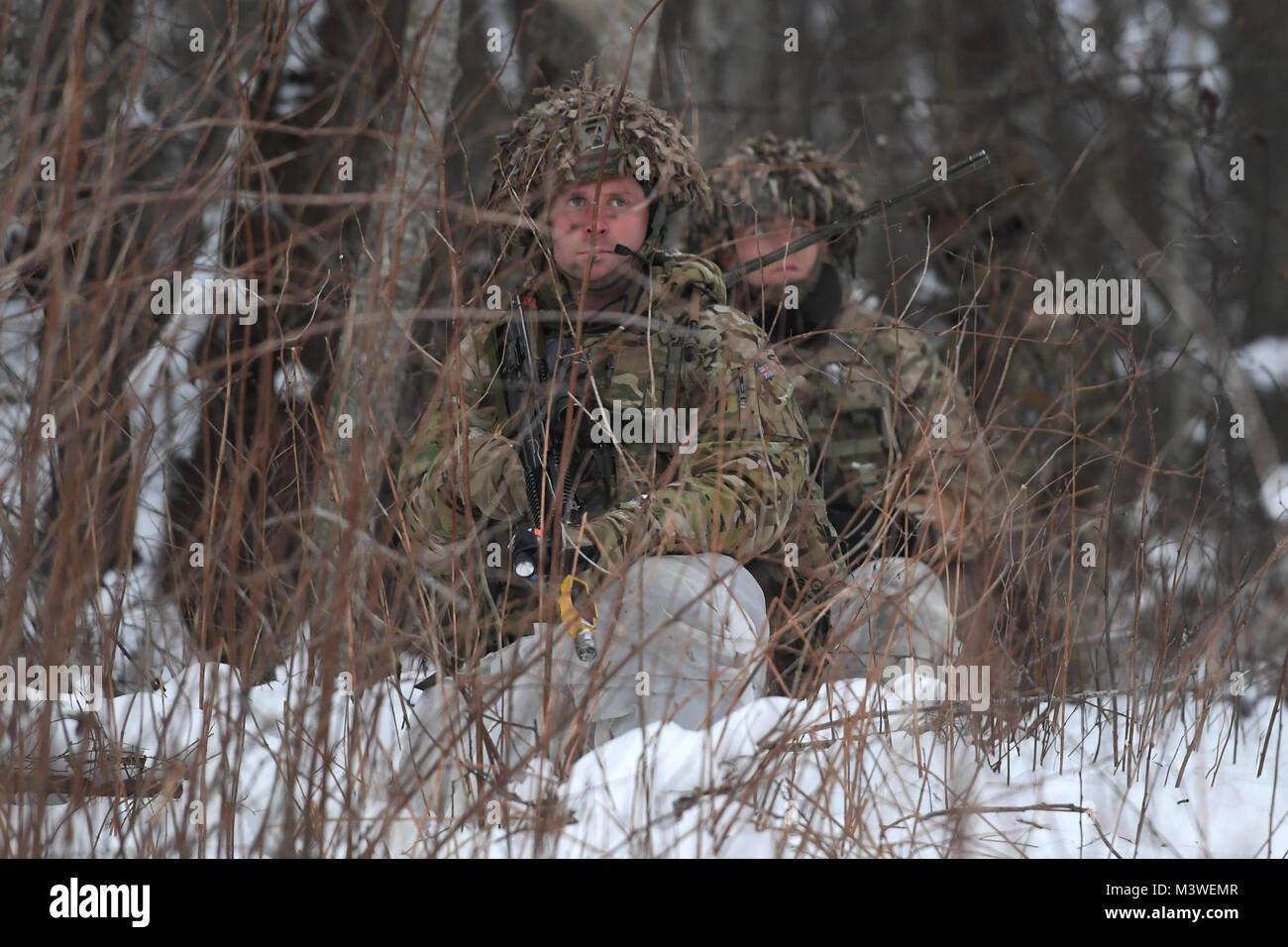 Corporal White of 1st Battalion The Royal Welsh takes cover in a tree ...