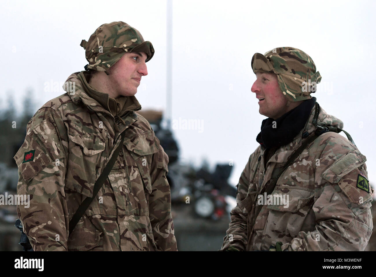 Fusilier Lee Hilmer-Hills, 18, (left) and his brother Lance Corporal ...