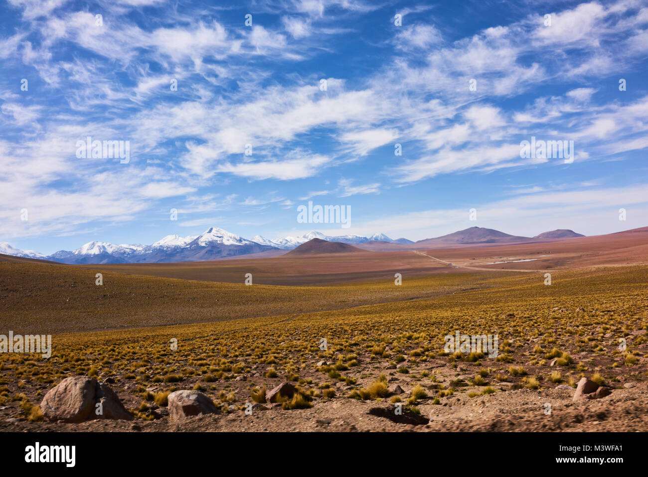 Arid landscape of the Atacama desert with the Andes Mountain range in ...