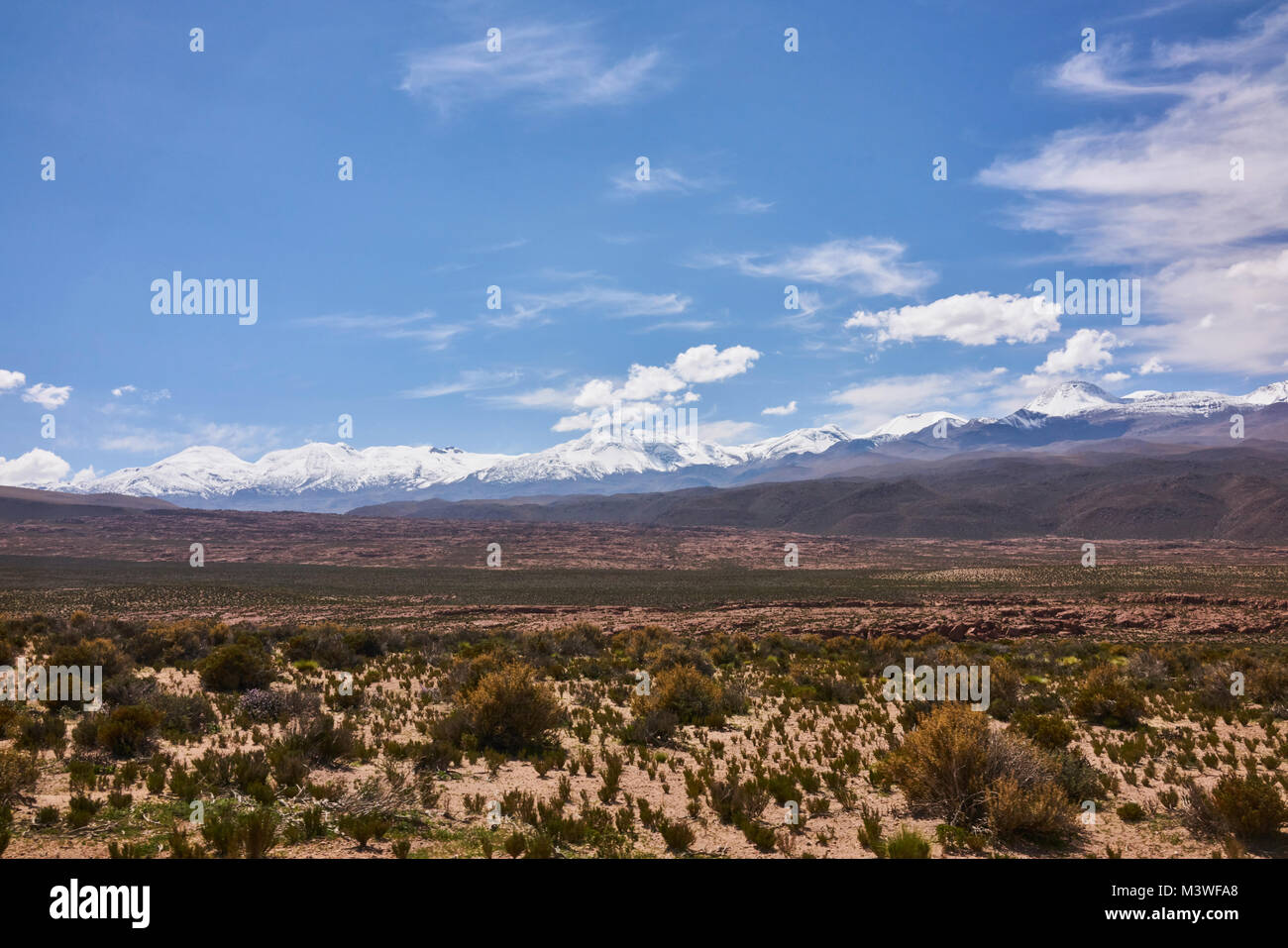 Arid landscape of the Atacama desert with the Andes Mountain range in ...