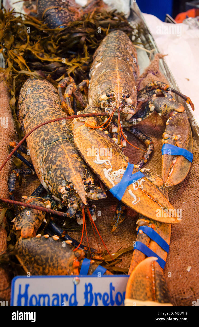 Lobster stand hi-res stock photography and images - Alamy
