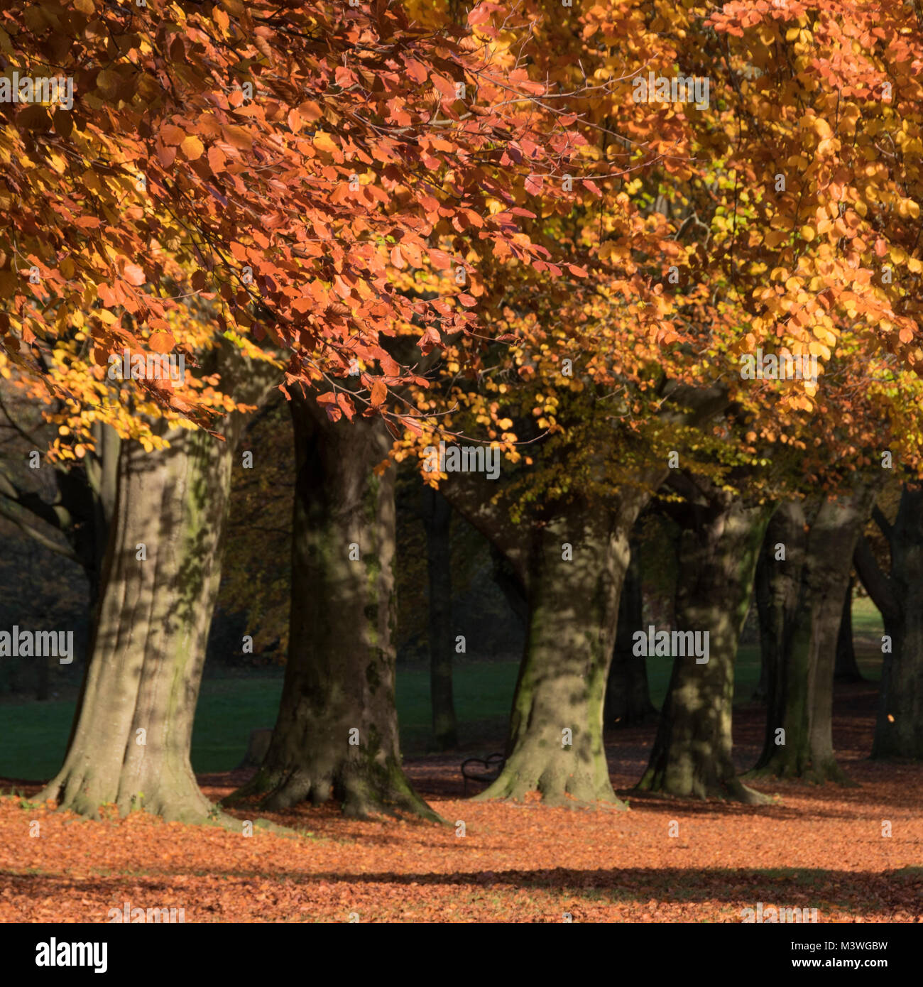 Bristol promenade hi-res stock photography and images - Alamy