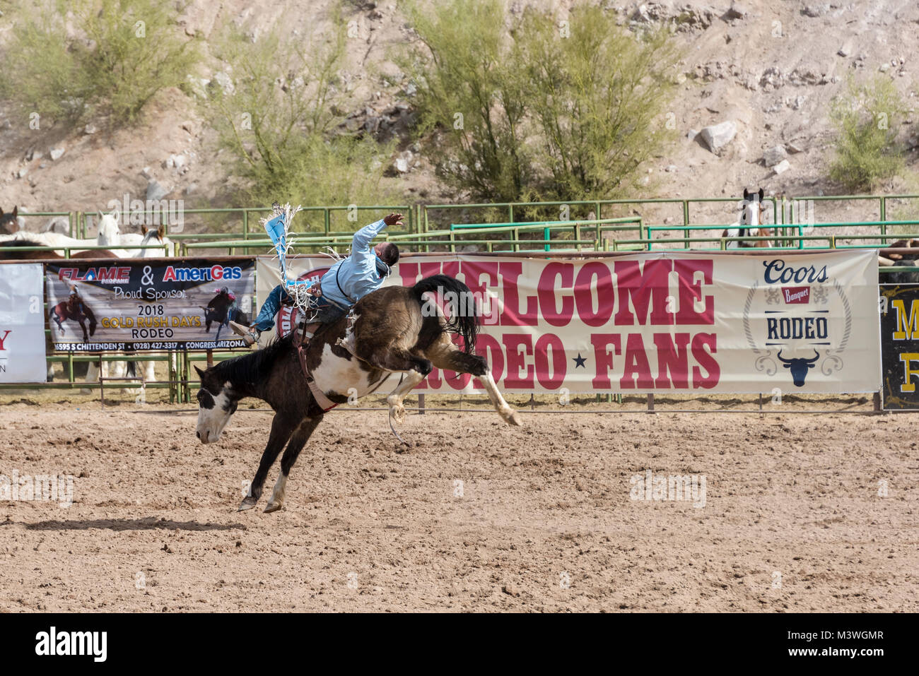 Gold Rush days in Wickenburg, AZ, with Rodeo at Everett Bowman Area in ...