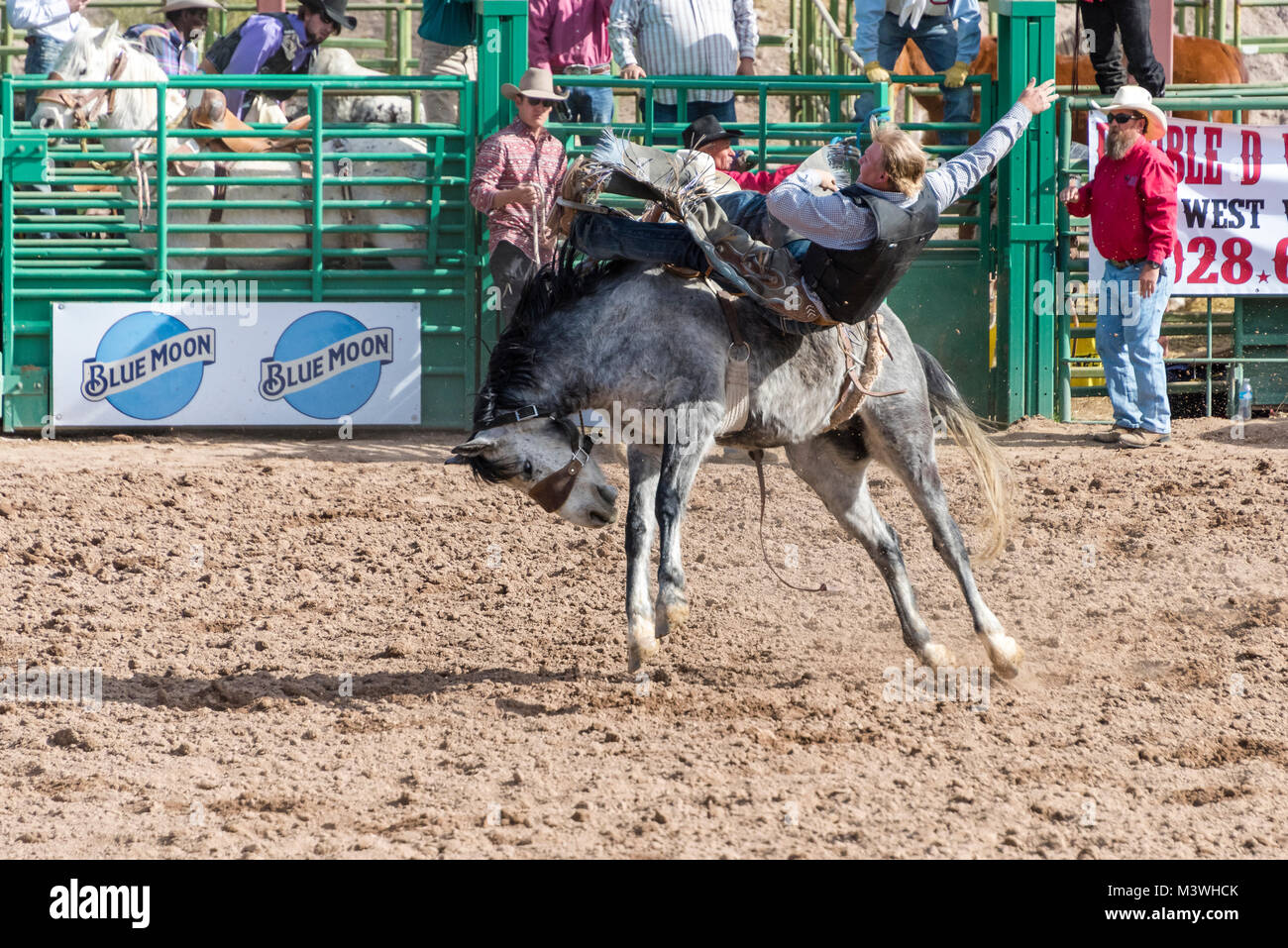 Gold Rush days in Wickenburg, AZ, with Rodeo at Everett Bowman Area in ...