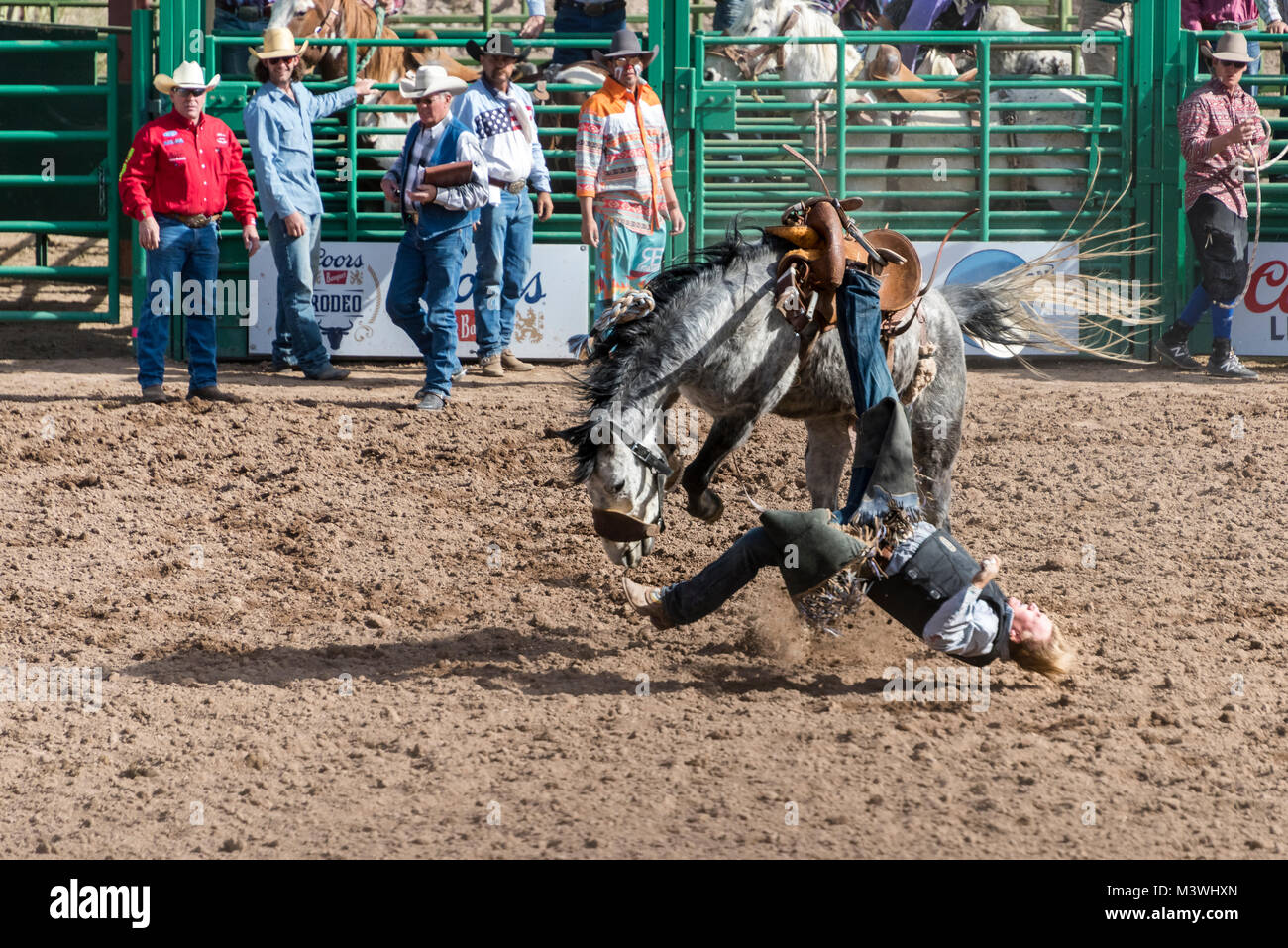Rodeo days hi-res stock photography and images - Alamy