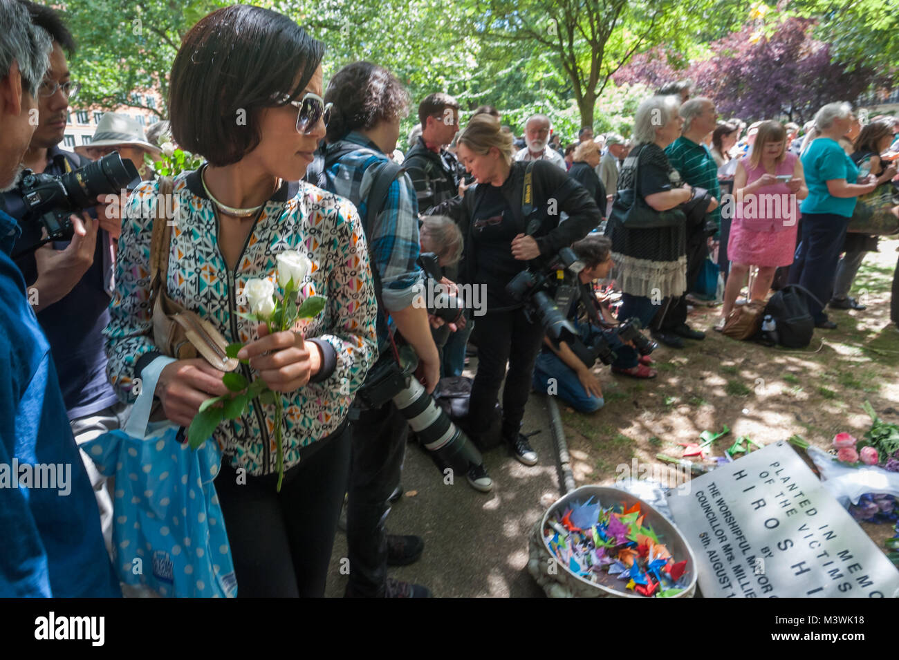 A woman comes to lay white roses at the Hiroshima cherry tree planted ...