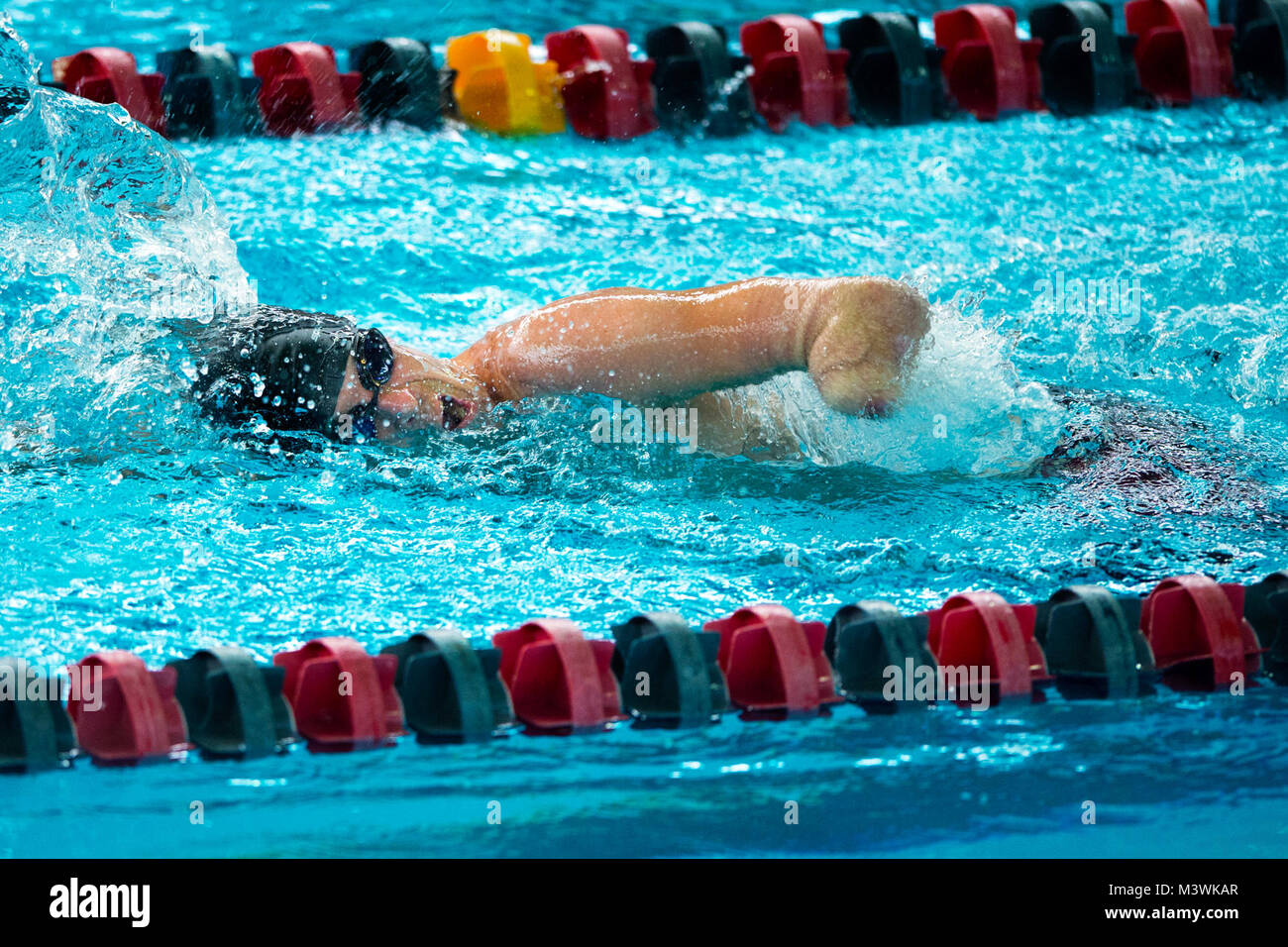 Ej Nicholson High Resolution Stock Photography and Images - Alamy