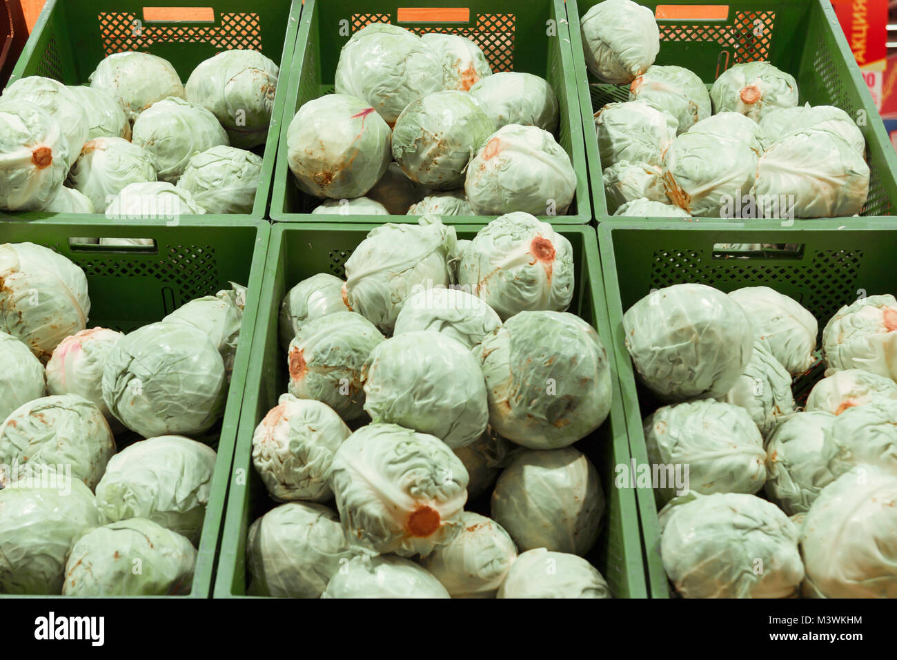 Boxes of fresh cabbages in a supermarket. Healthy eating Stock Photo ...