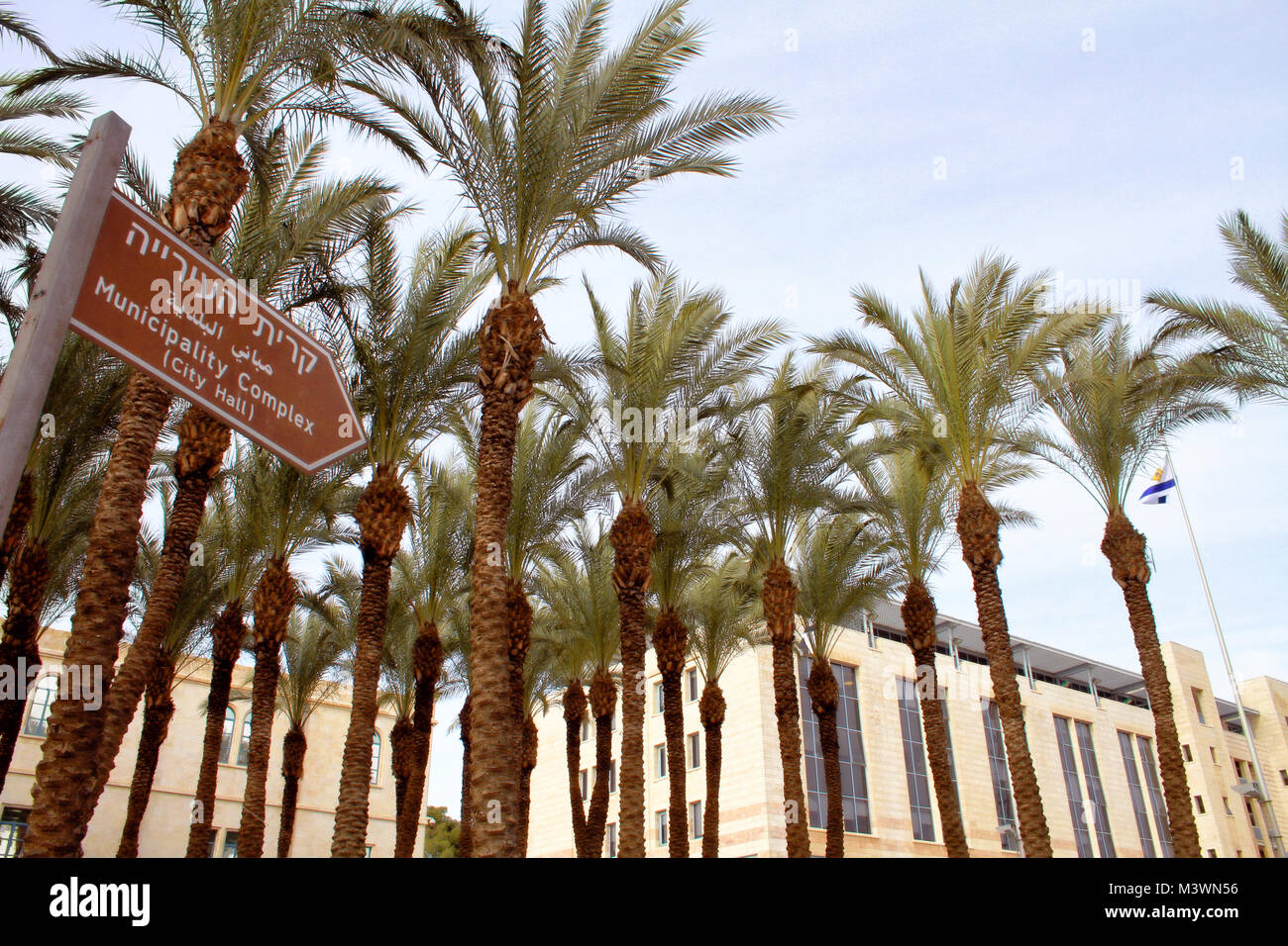 Israel palm trees hi-res stock photography and images - Alamy