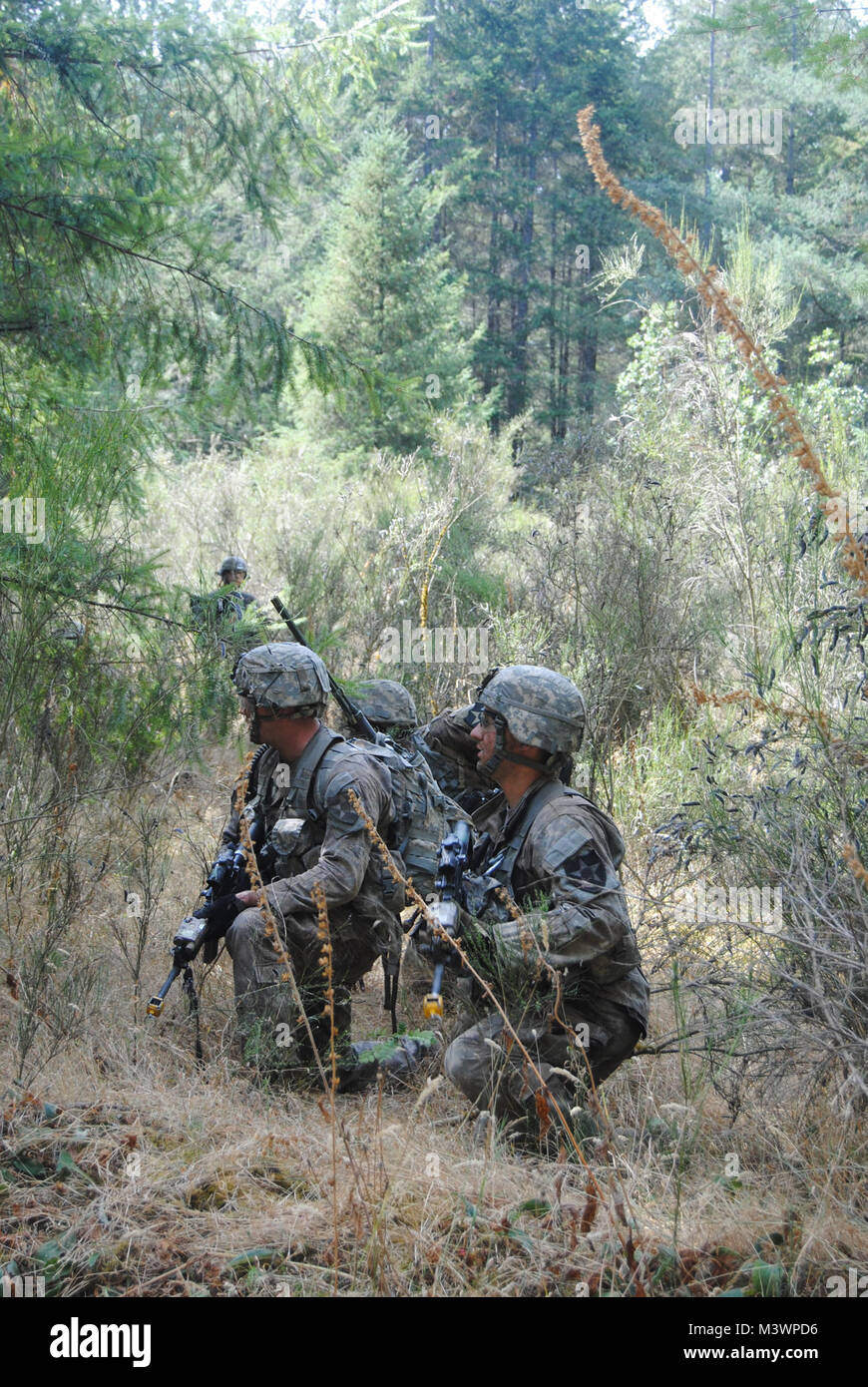 U.S. Army photo by Staff Sgt. John Pantalici 170824-A-ZZ999-026 by 1-2 ...