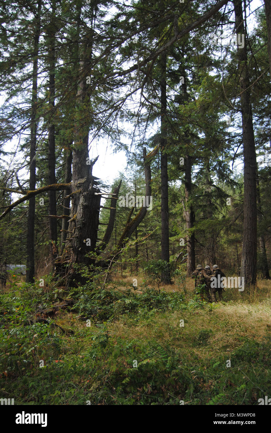 U.S. Army photo by Staff Sgt. John Pantalici 170824-A-ZZ999-028 by 1-2 Stryker Brigade Combat ...