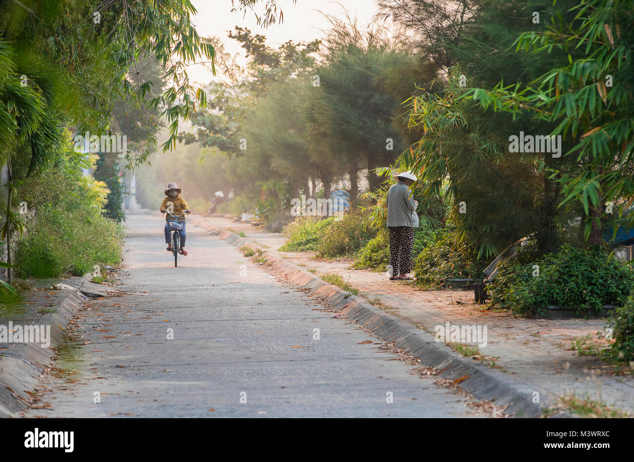 Local person riding a cycle along a quiet road in Hoi An old town ...