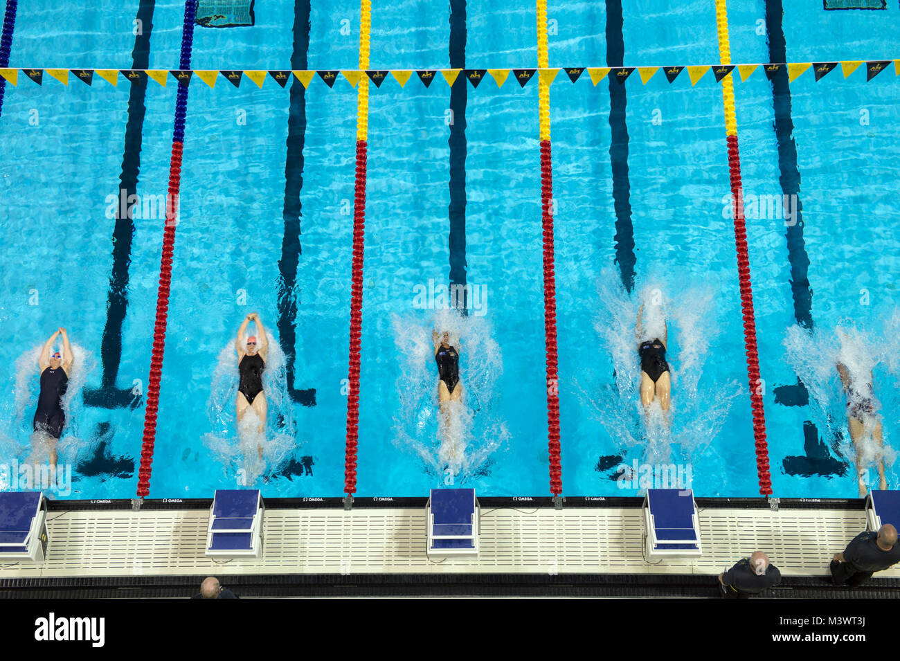 Swimmers begin a 50 meter backstroke race during the 2017 Invictus ...