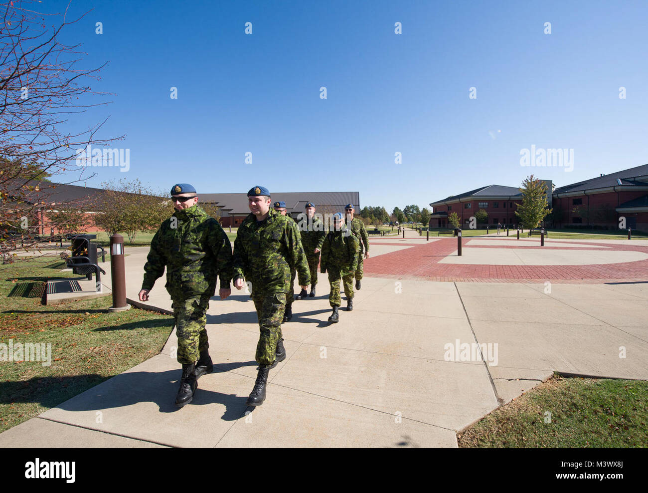 611 squadron hi-res stock photography and images - Alamy