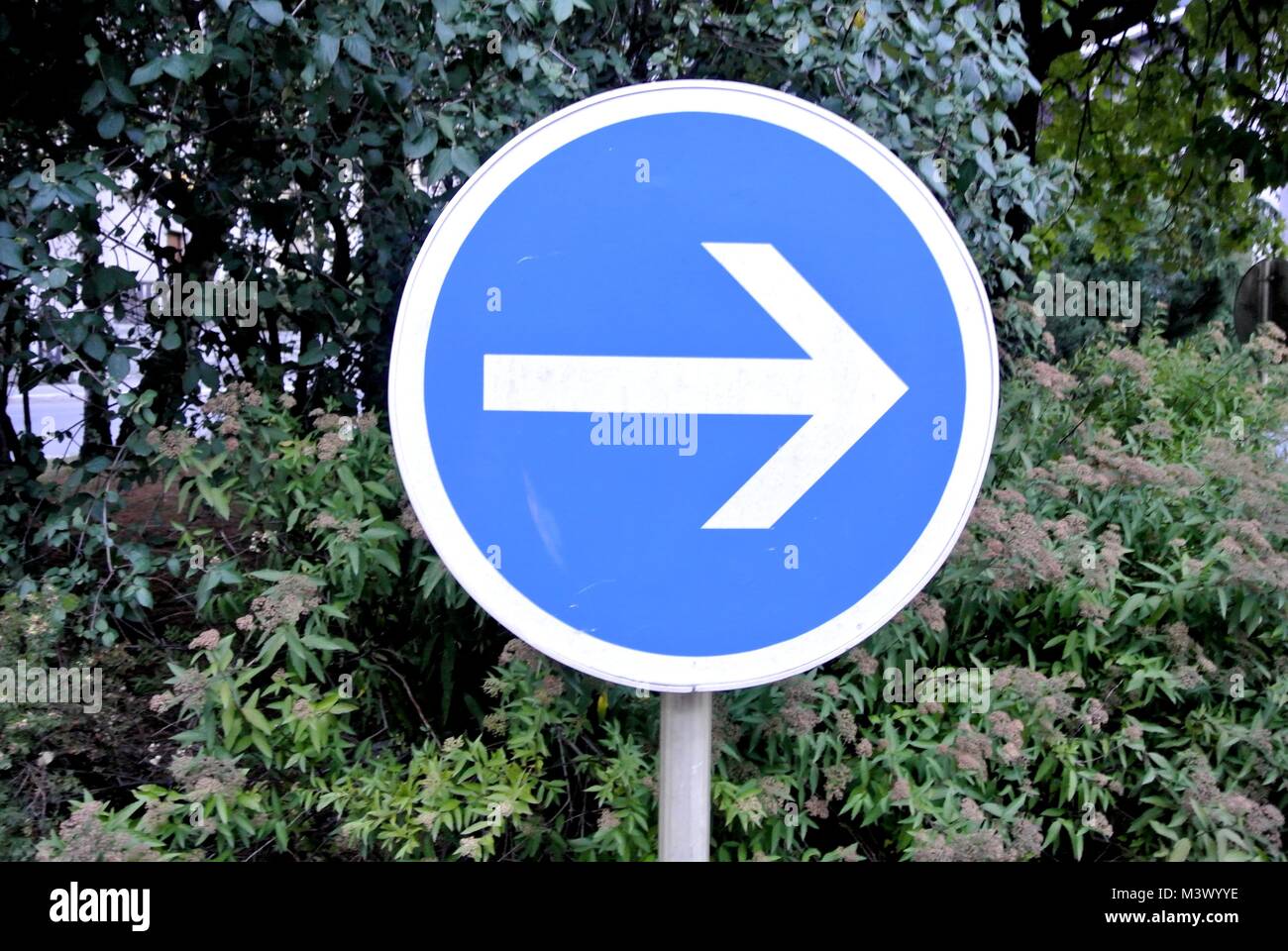 Road traffic signs and road names Stock Photo - Alamy