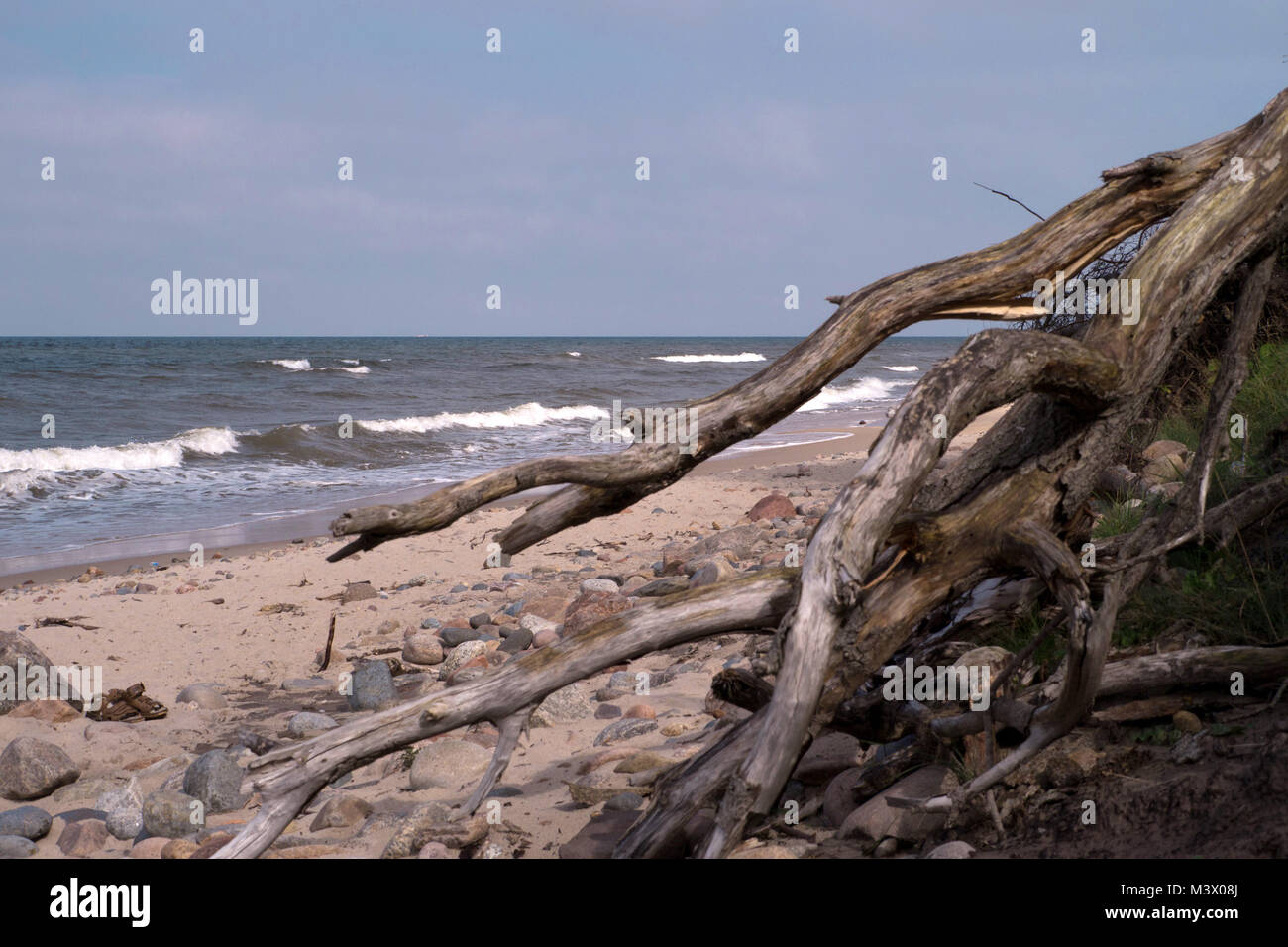 Small tides hi-res stock photography and images - Alamy