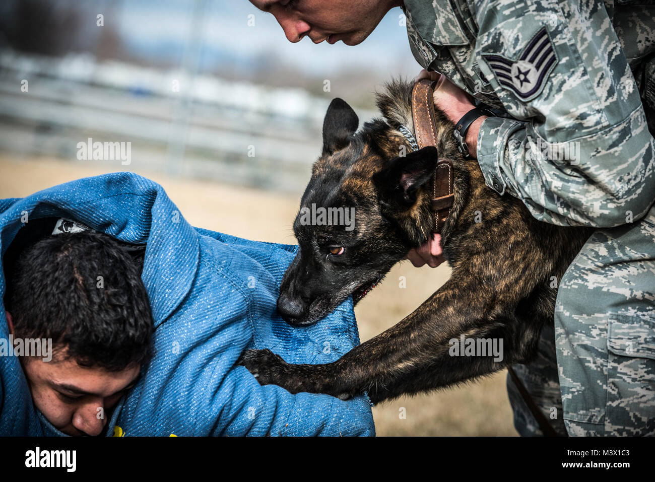 366 sfs hi-res stock photography and images - Alamy
